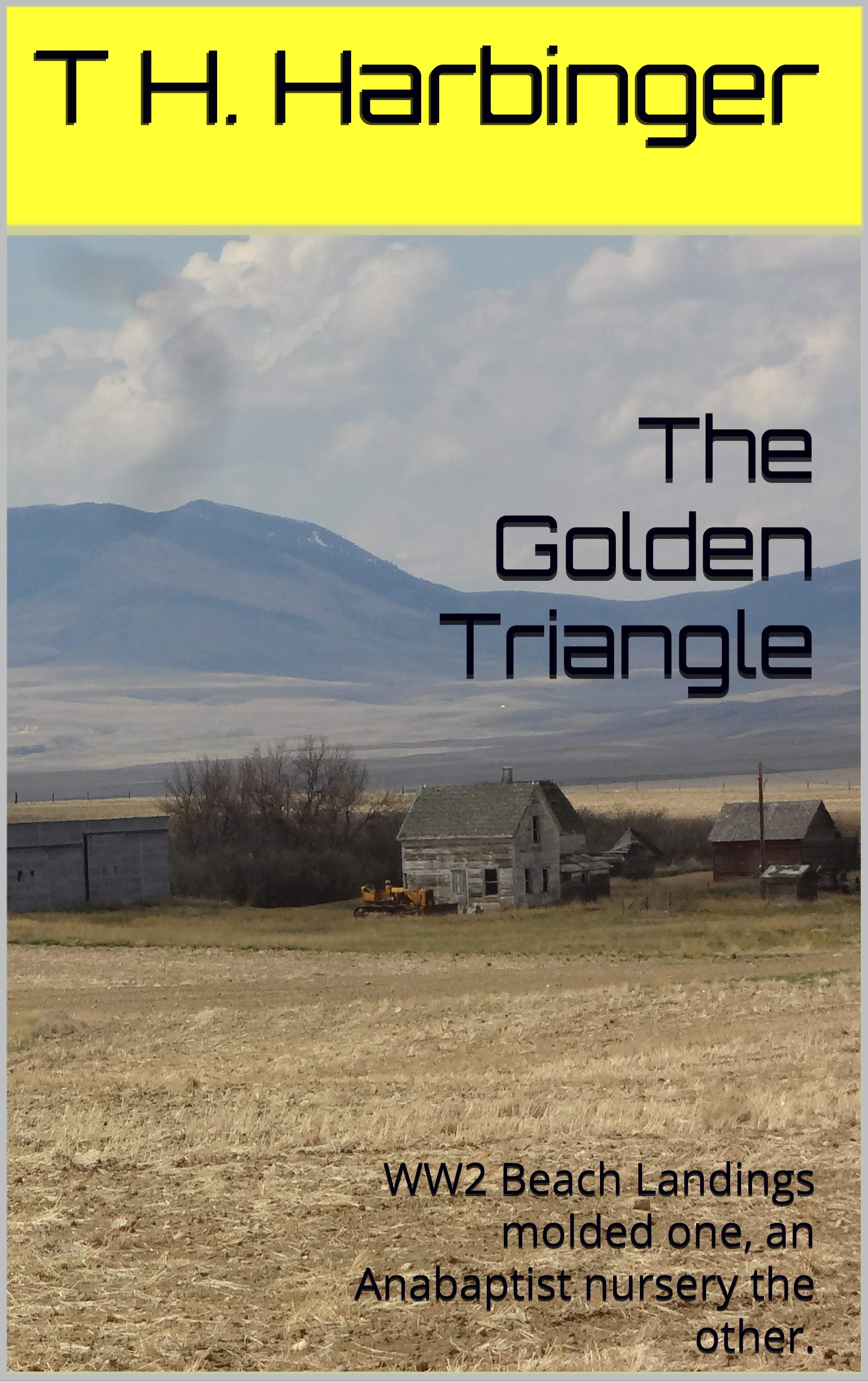 The Golden Triangle: WW2 Beach Landings molded one, an Anabaptist ...
