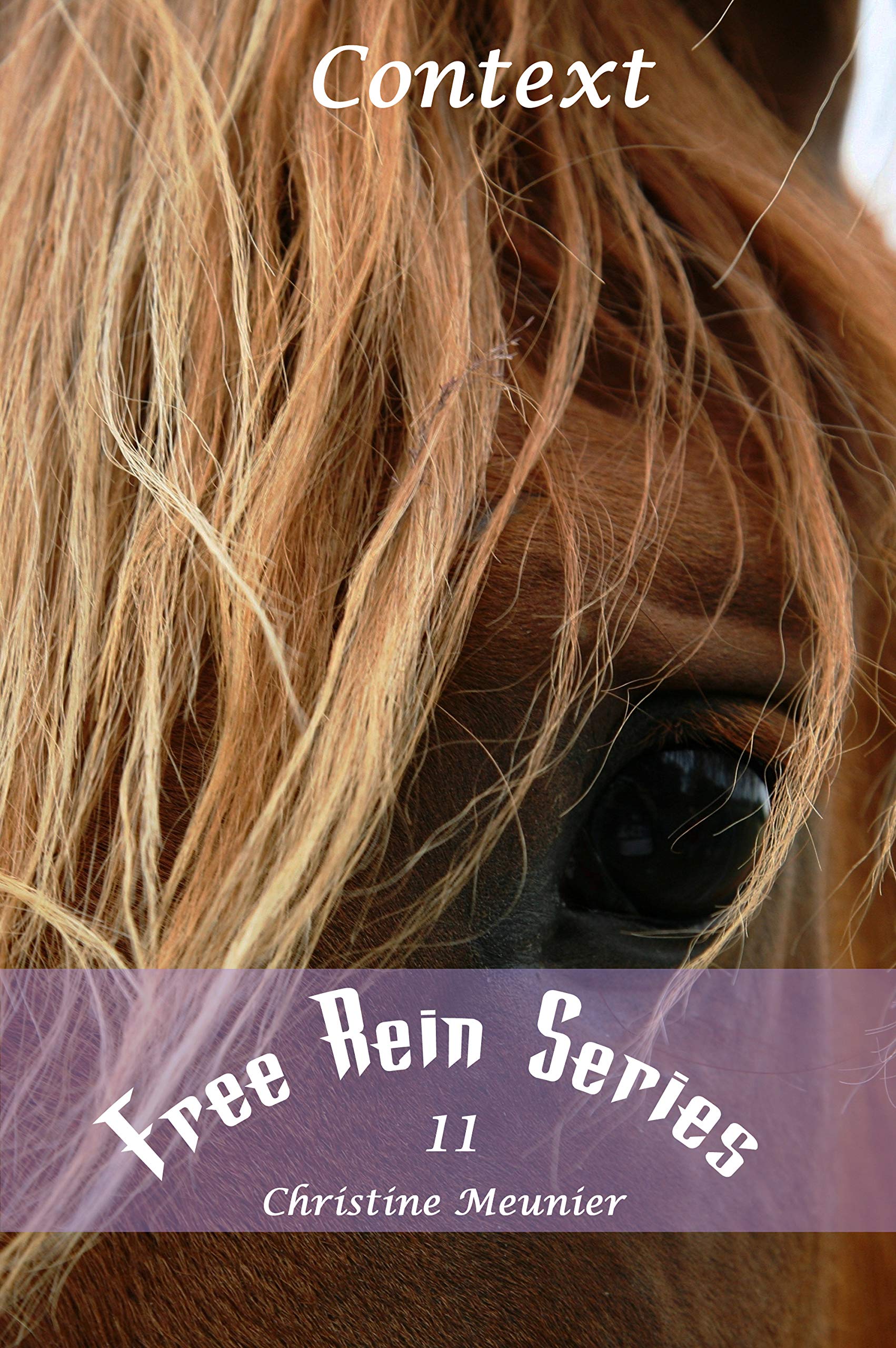Context (Free Rein Series Book 11) by Christine Meunier | Goodreads