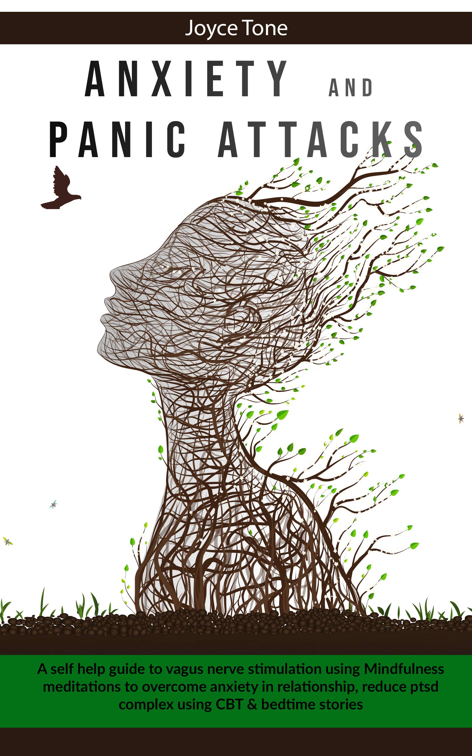 Anxiety and Panic attacks: A self help guide to vagus nerve stimulation ...