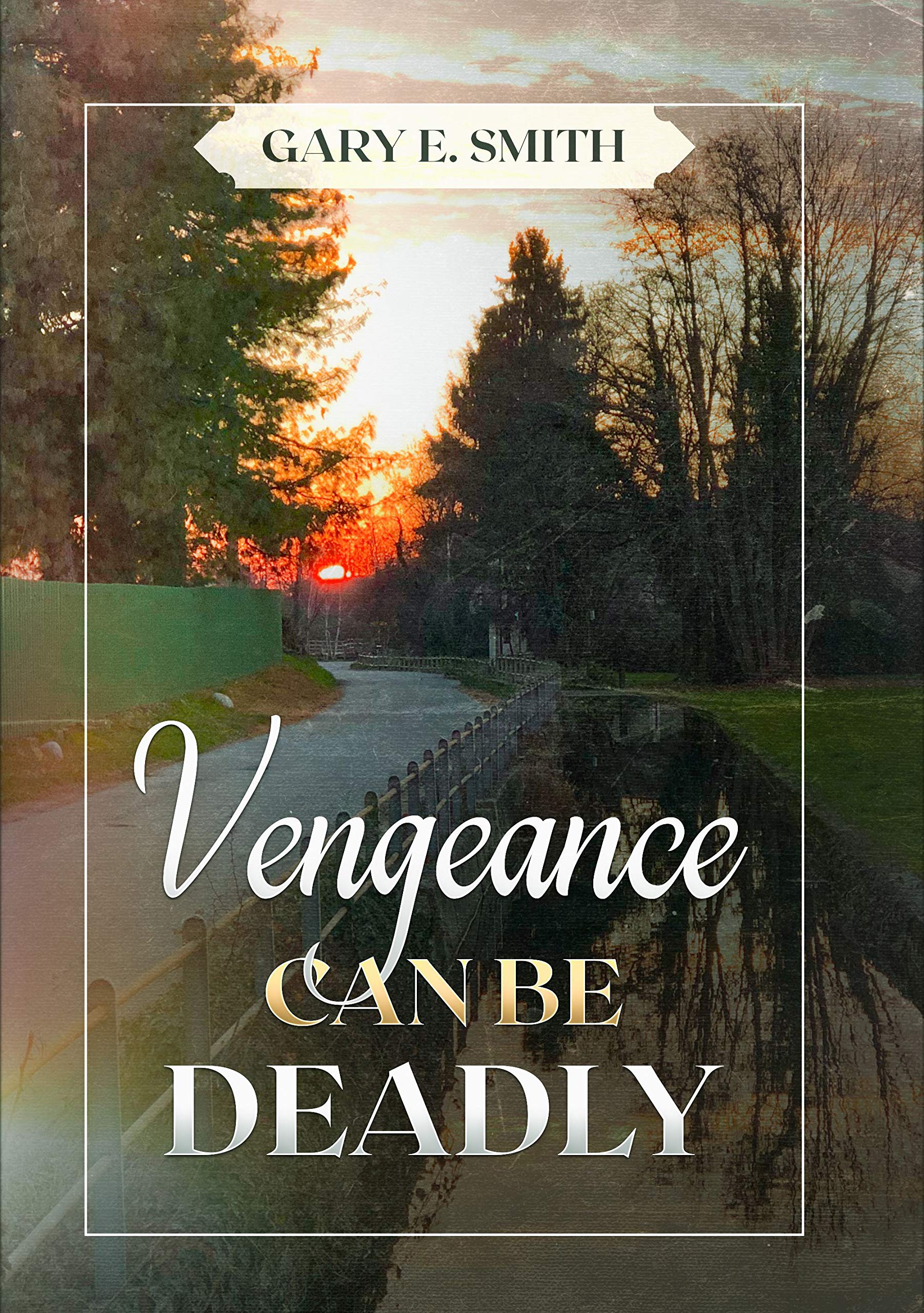 Vengeance Can Be Deadly (Warren Steelgrave Book 5) by Gary Smith ...