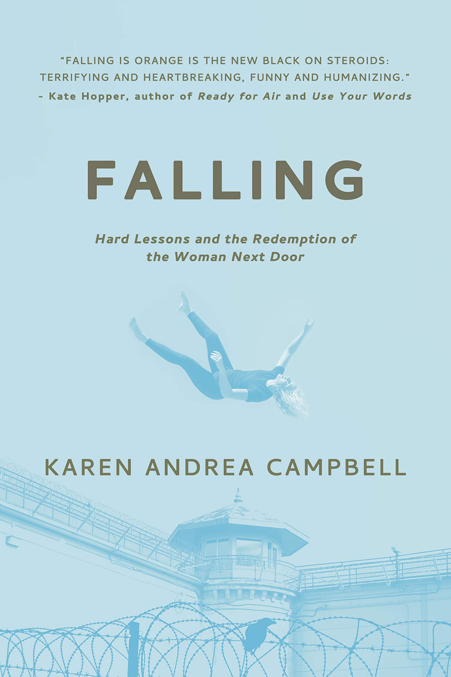 Falling: Hard Lessons and the Redemption of the Woman Next Door by ...