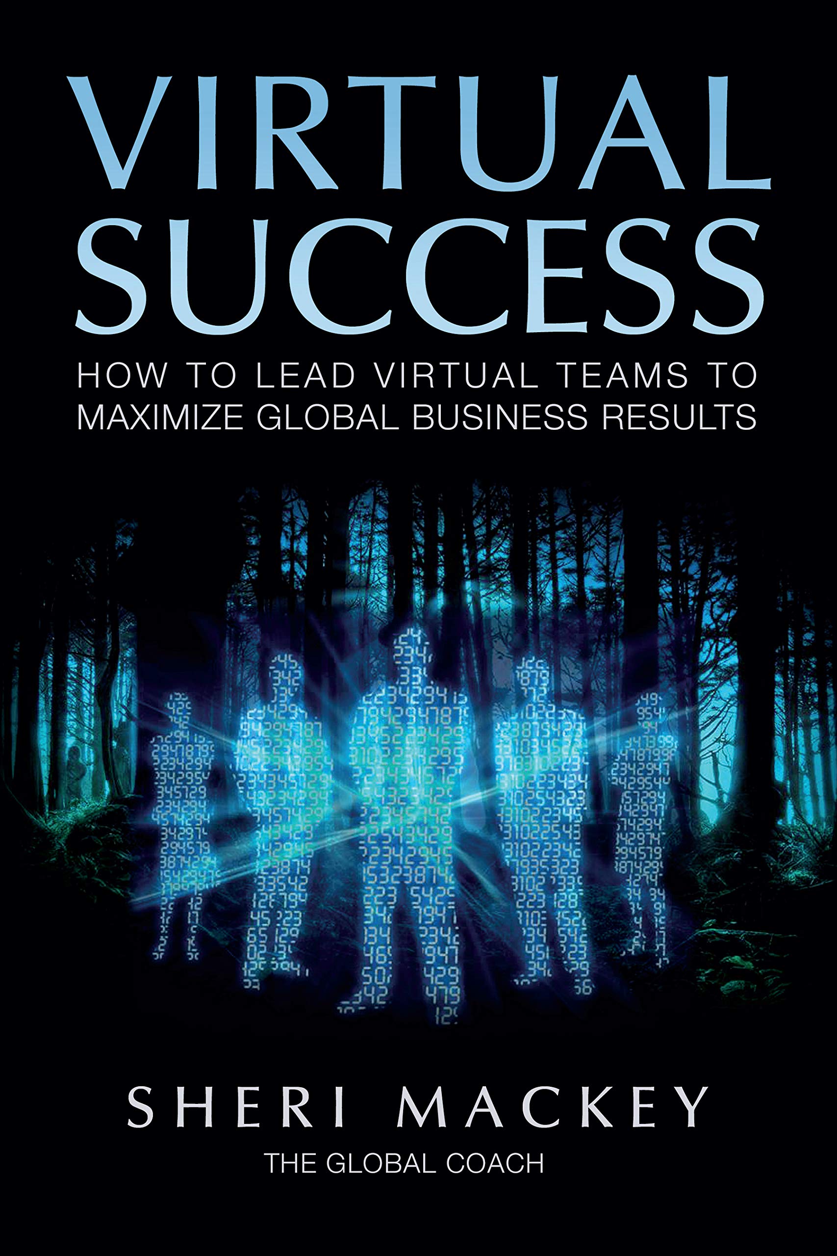Virtual Success: How To High Performing Virtual Teams by Sheri L ...