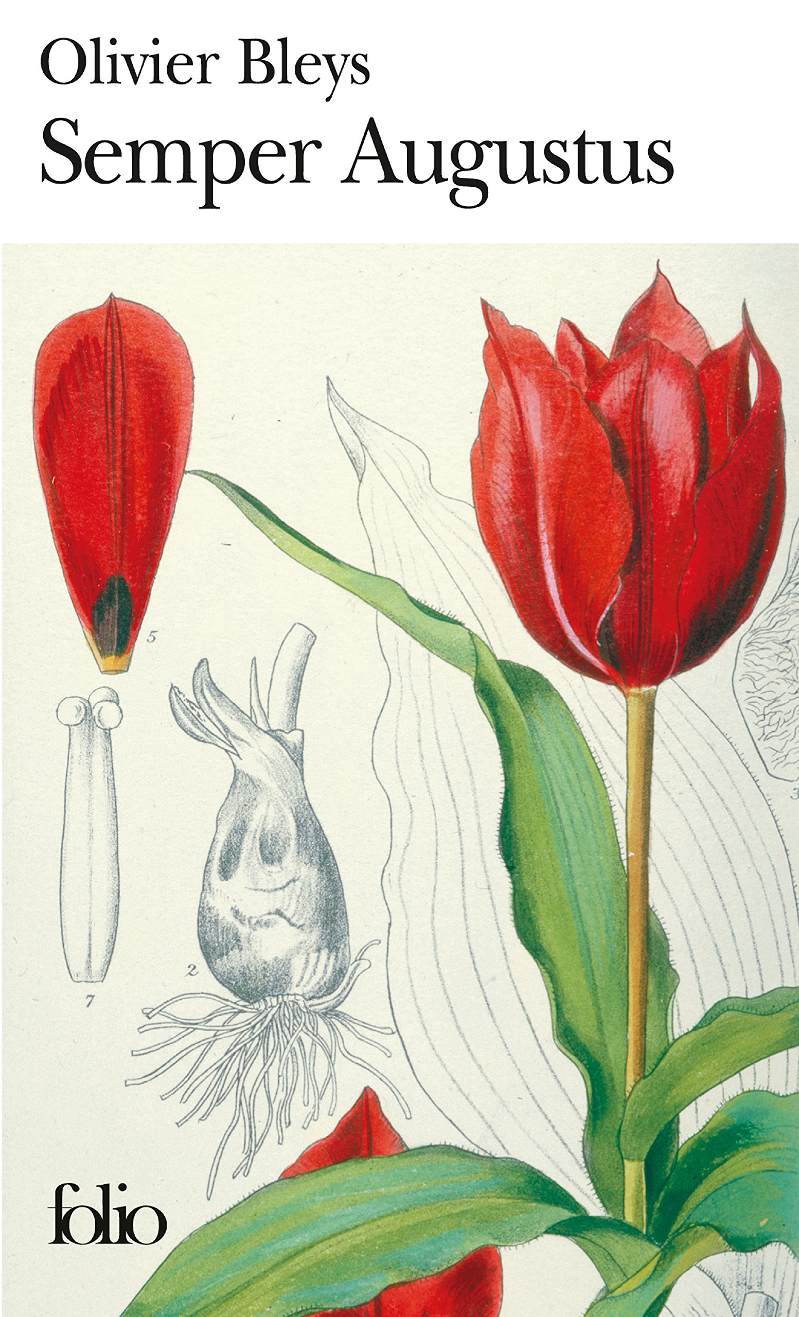 Semper Augustus (French Edition) by Olivier Bleys | Goodreads