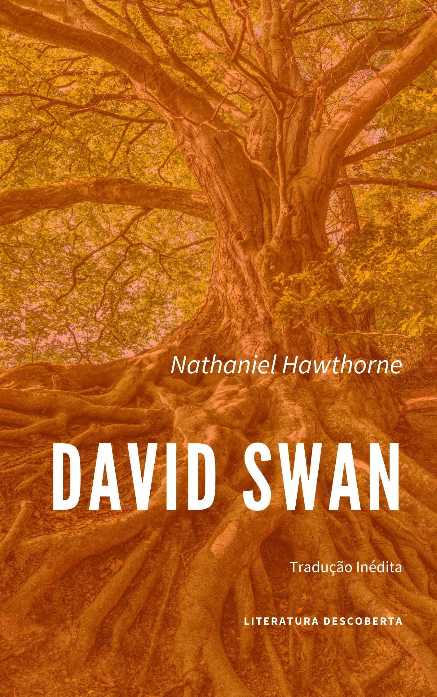 David Swan (Portuguese Edition) by Nathaniel Hawthorne | Goodreads
