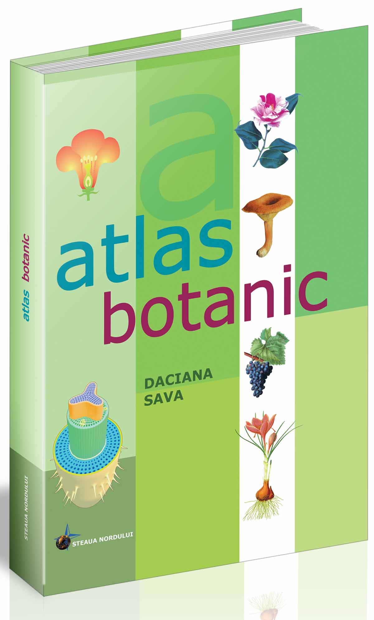Atlas botanic by Daciana Sava | Goodreads