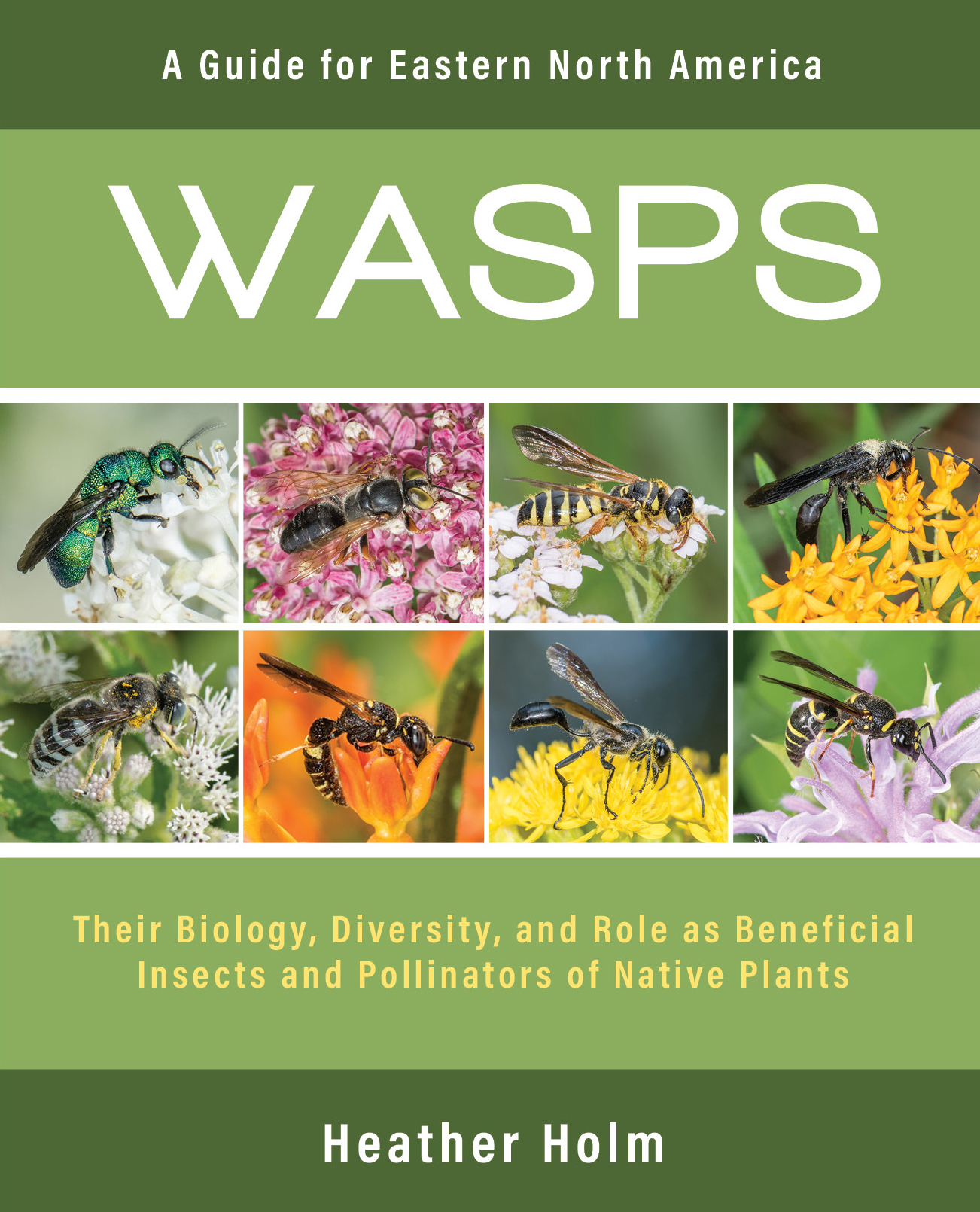 Wasps: Their Biology, Diversity, and Role as Beneficial Insects and ...