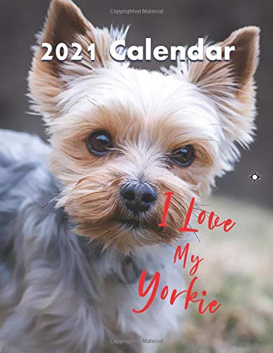 I Love My Yorkie 2021 Calendar: 12 Month Wall Calendar, 11 x 17 ...