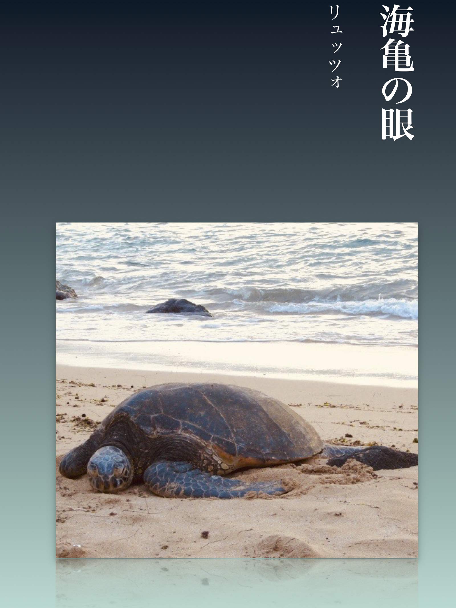 Umigame No Me (Japanese Edition) by Ryuzzo | Goodreads