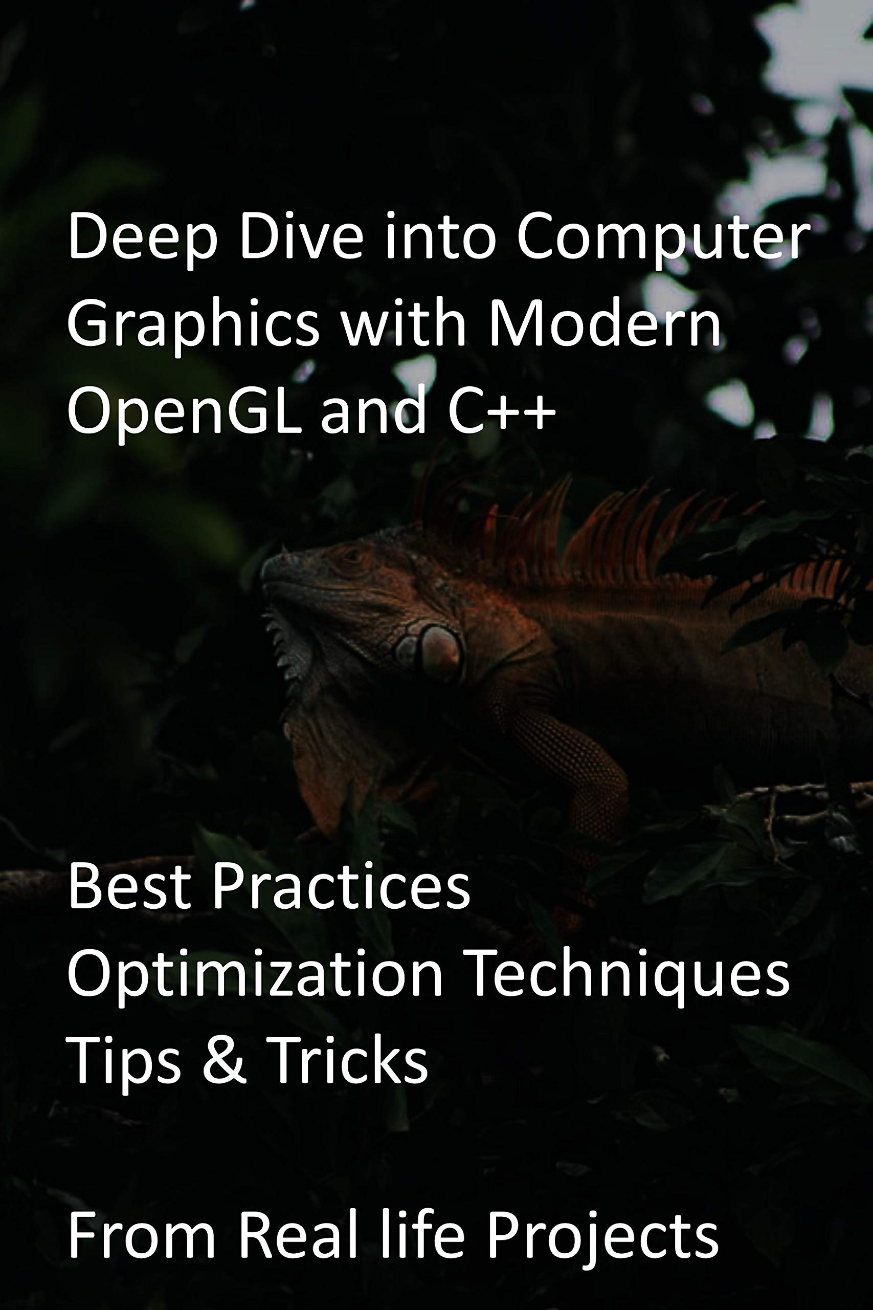 Deep Dive into Computer Graphics with Modern OpenGL and C++: Best ...