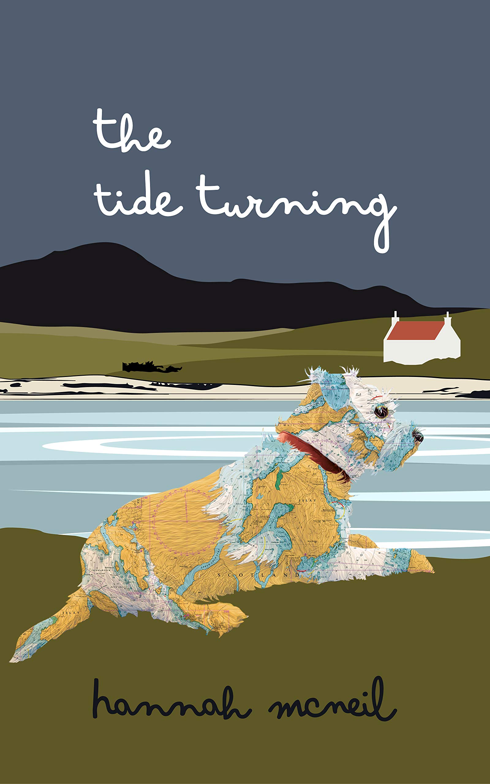 The Tide Turning by Hannah McNeil | Goodreads
