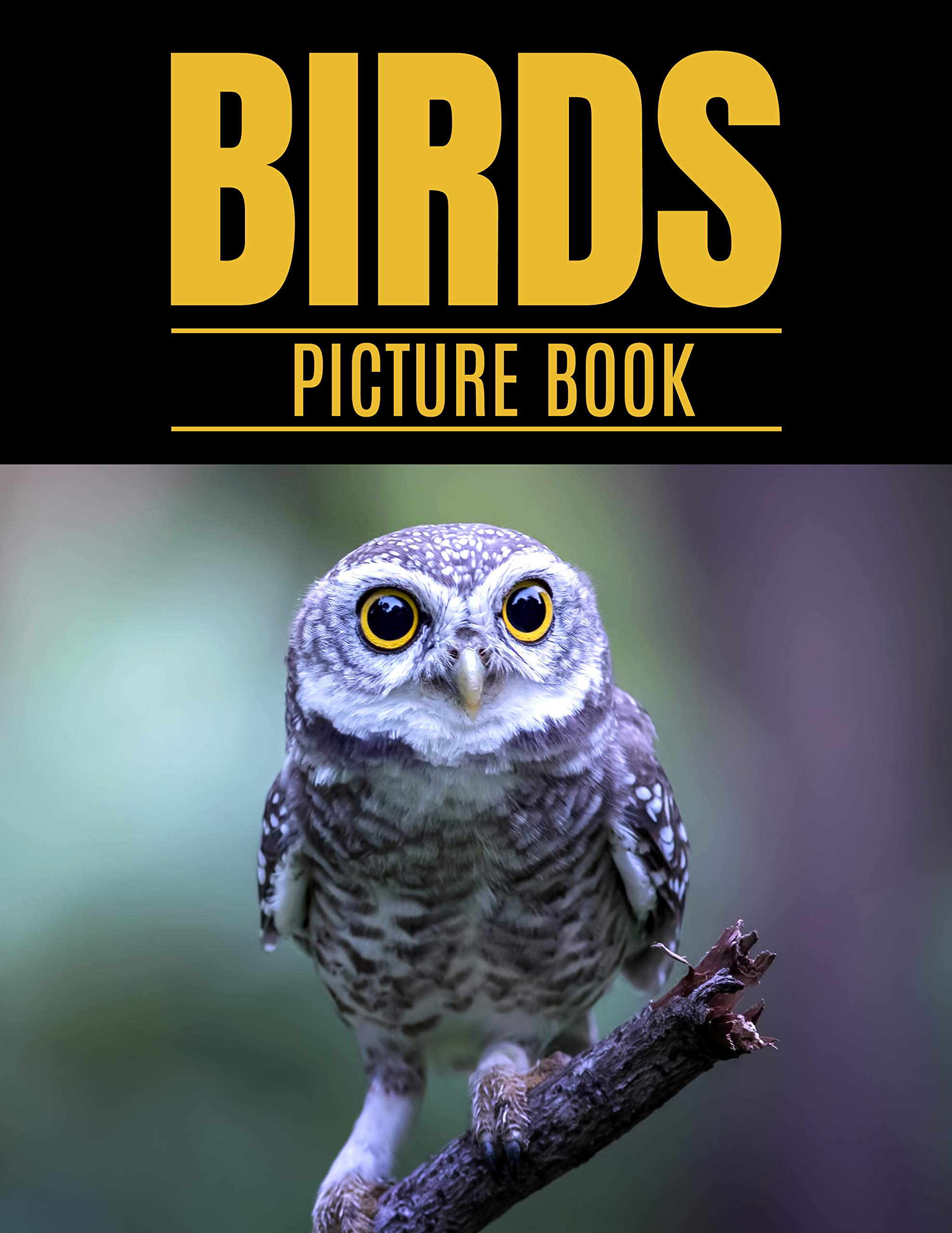 Birds Picture Book : A Gift Idea With Adorable Full-Color Photo for ...