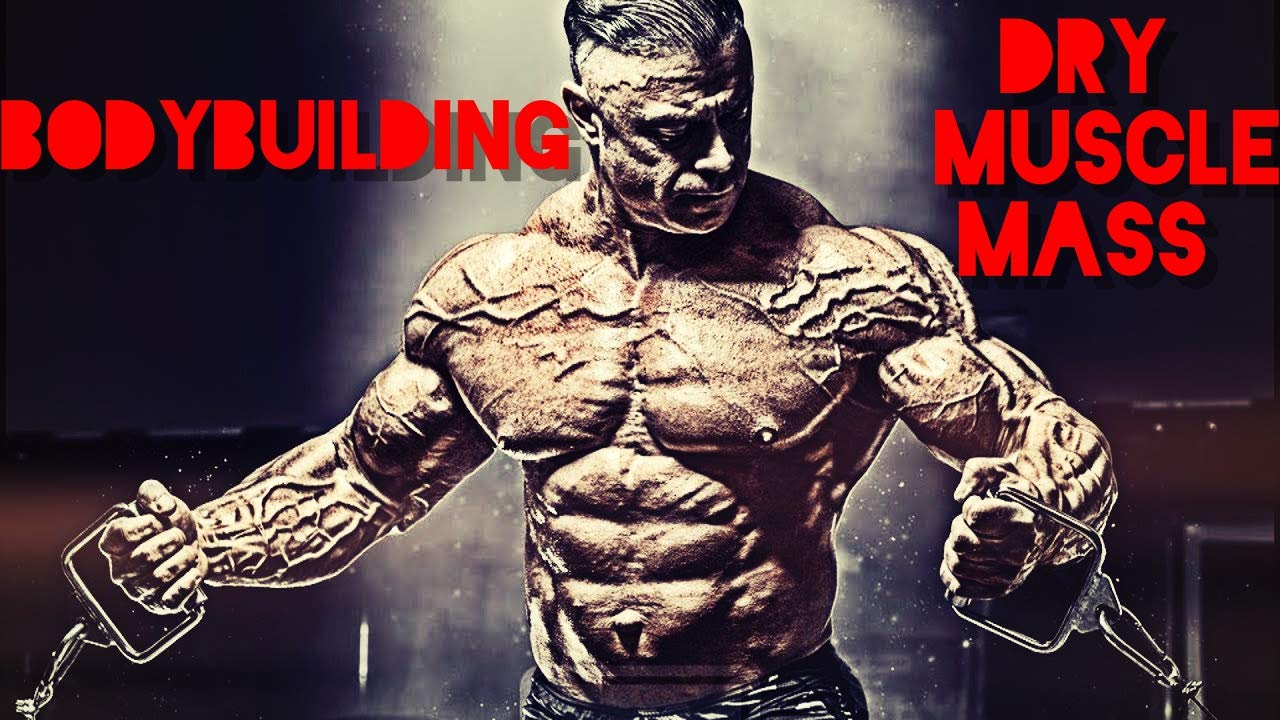 BODYBUILDING:Dry Muscle Mass by Vas Relax | Goodreads