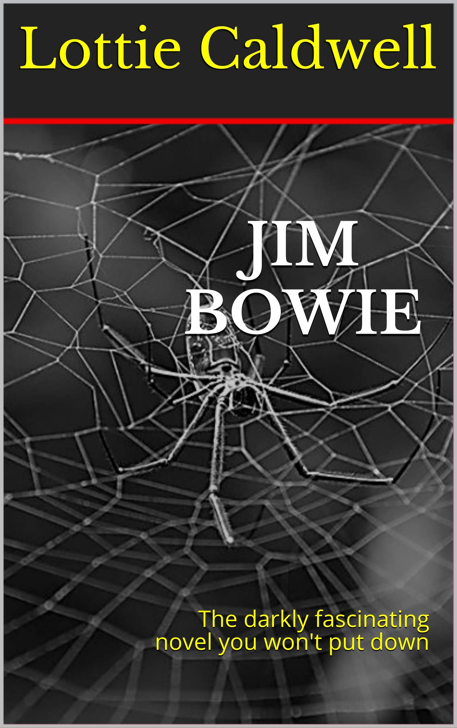 JIM BOWIE: The darkly fascinating novel you won't put down by Lottie ...