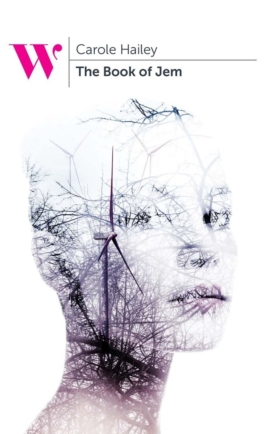 The Book of Jem by Carole Hailey | Goodreads