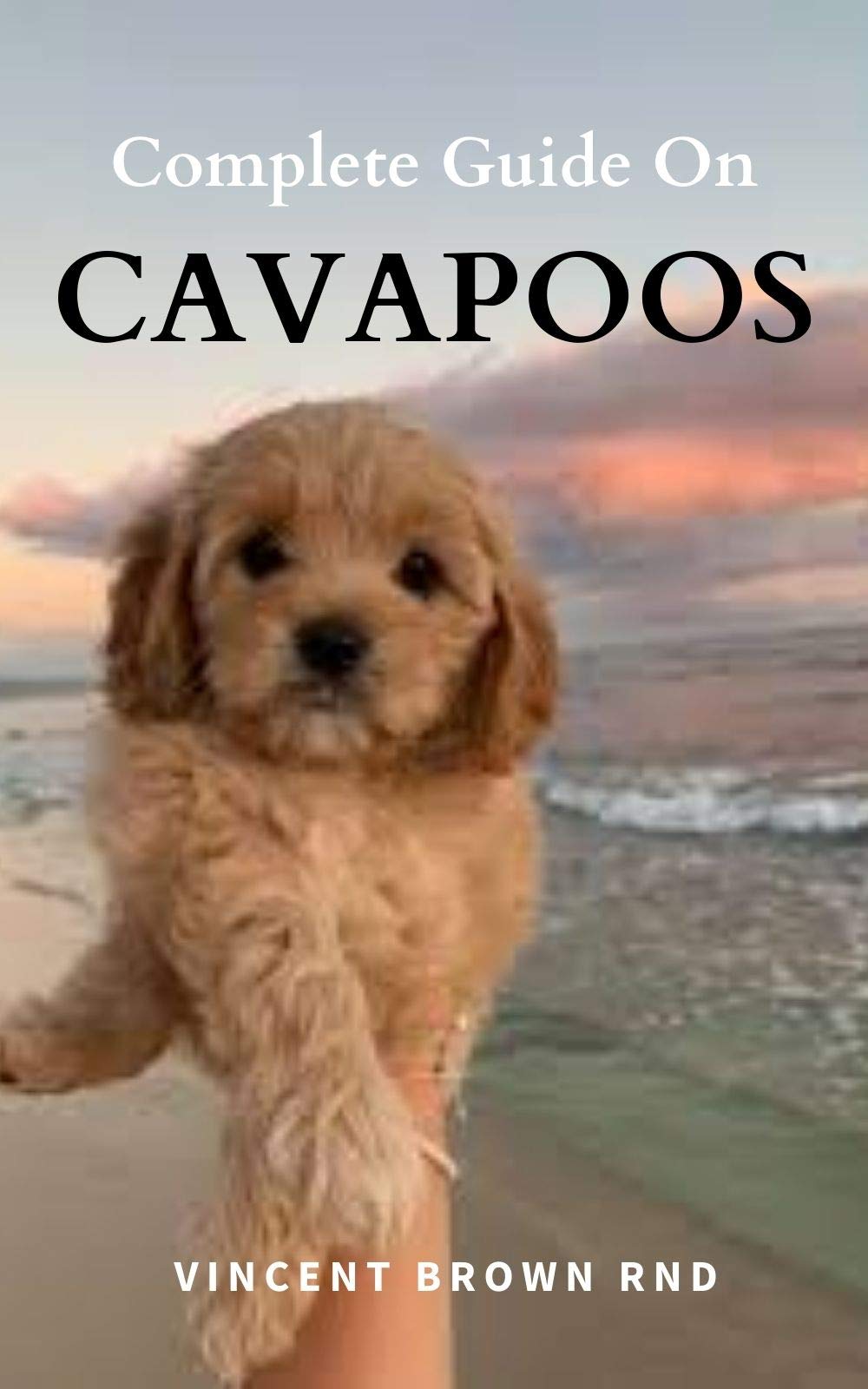 COMPLETE GUIDE ON CAVAPOOS: The Effective Guide To Buying, Grooming, Socializing And Taking Care ...