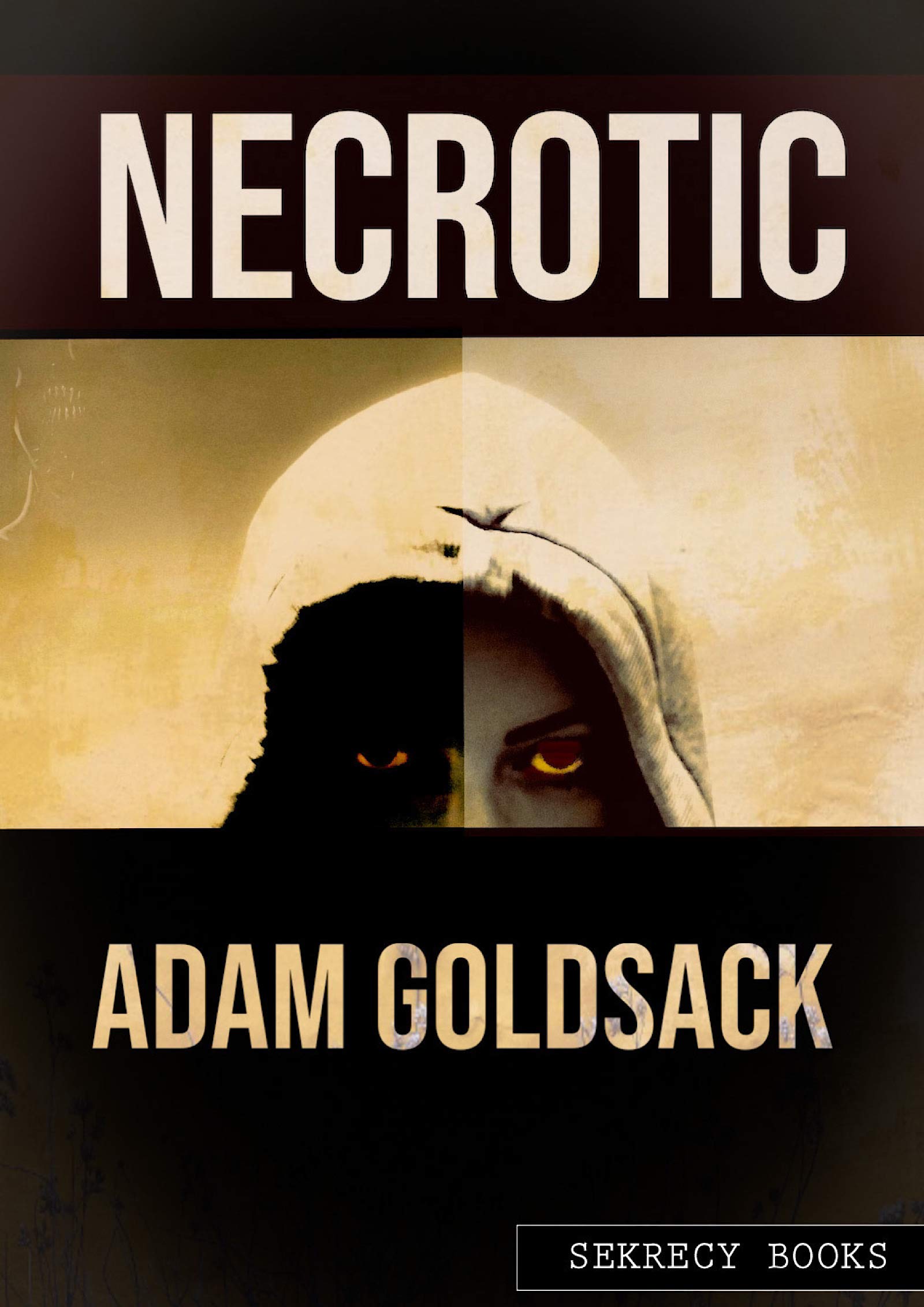 Necrotic by Adam Stephen Goldsack | Goodreads