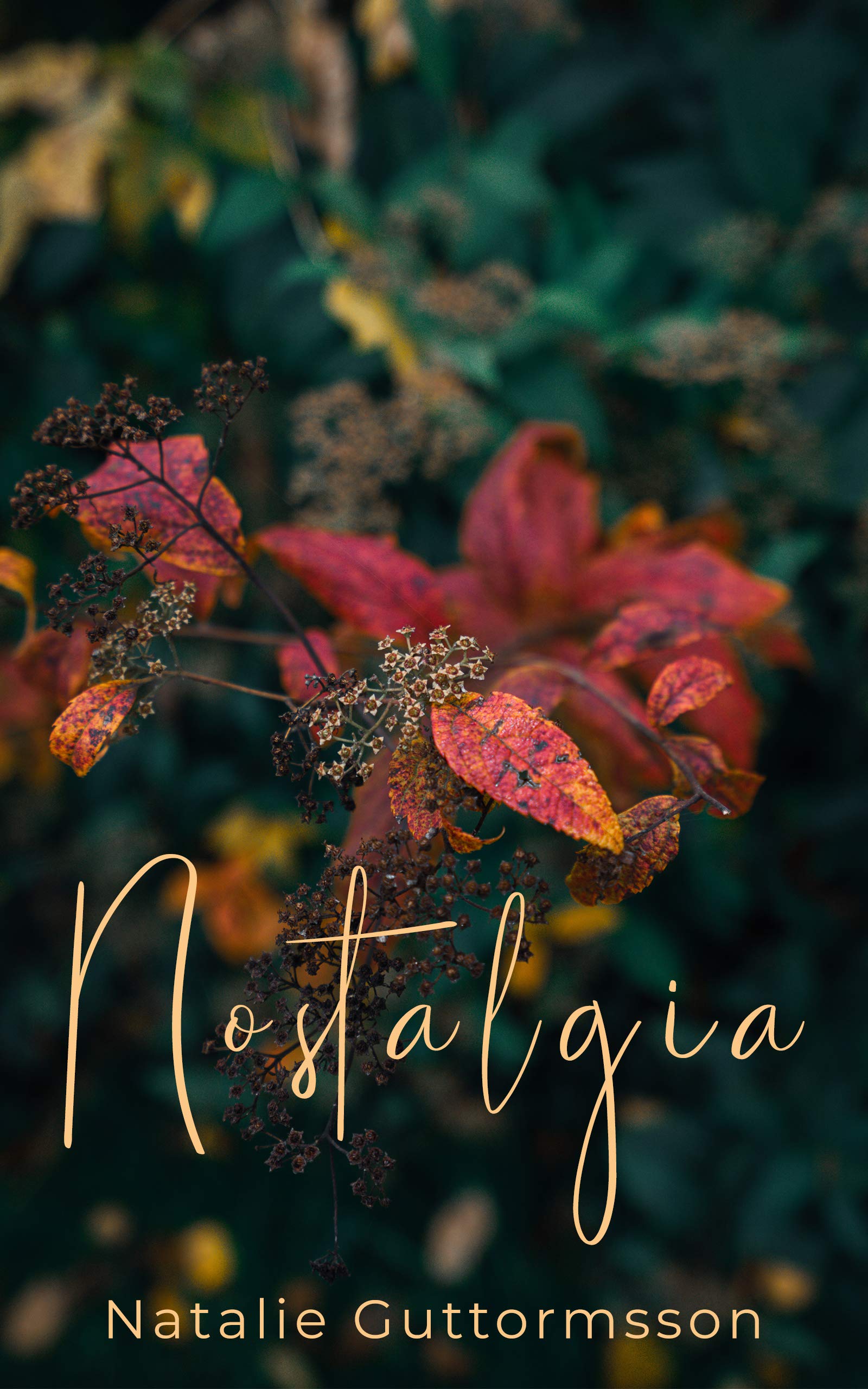 Nostalgia (Nostalgia Poems Book 1) by Natalie Guttormsson | Goodreads
