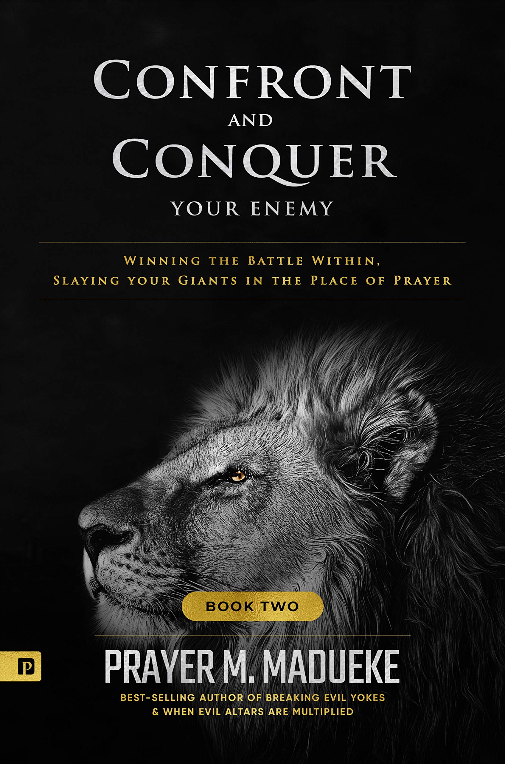 Confront and Conquer your Enemy (Book 2): Winning the Battle Within ...