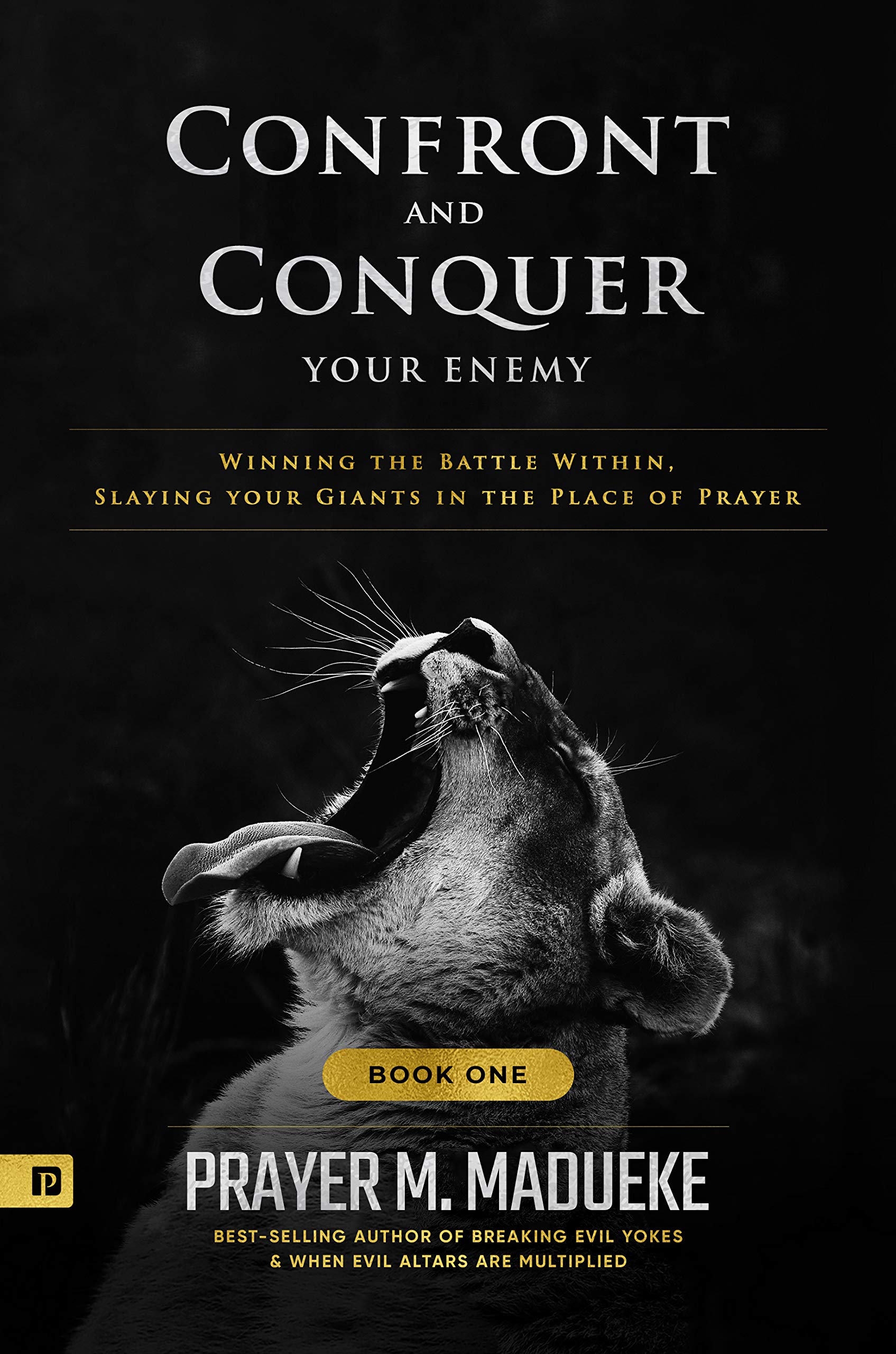 Confront and Conquer your Enemy (Book 1): Winning the Battle Within ...