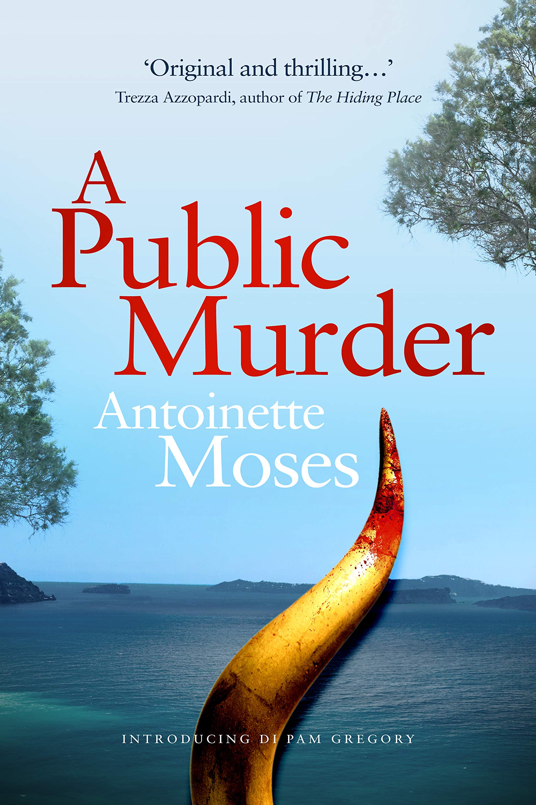 A Public Murder: Introducing DI Pam Gregory by Antoinette Moses | Goodreads
