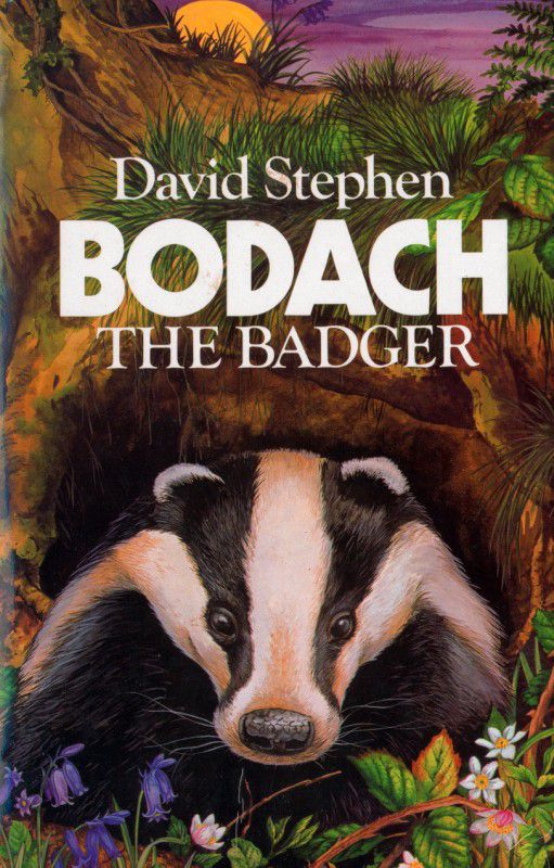 Bodach the Badger by David Stephen | Goodreads