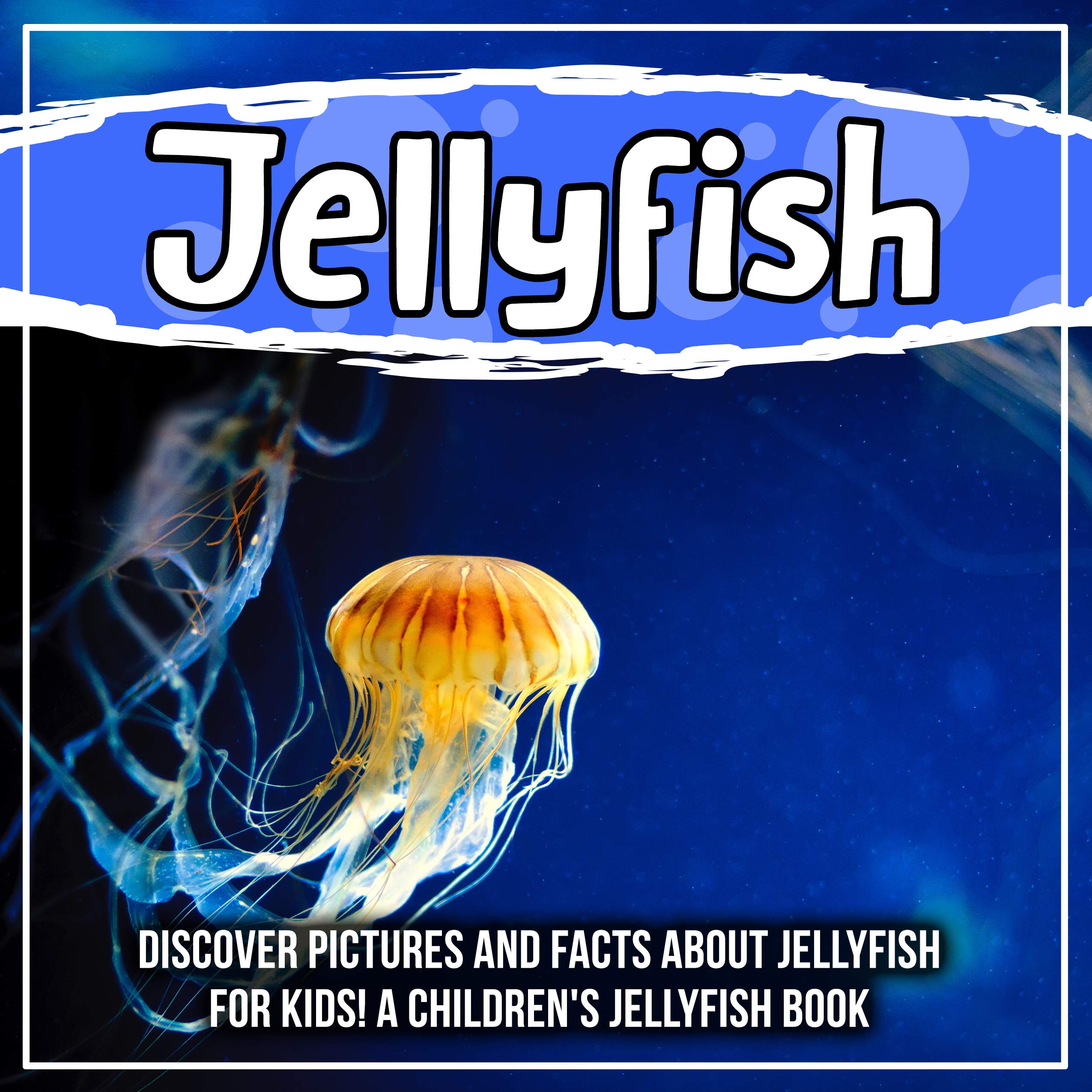 Jellyfish: Discover Pictures and Facts About Jellyfish For Kids! A ...