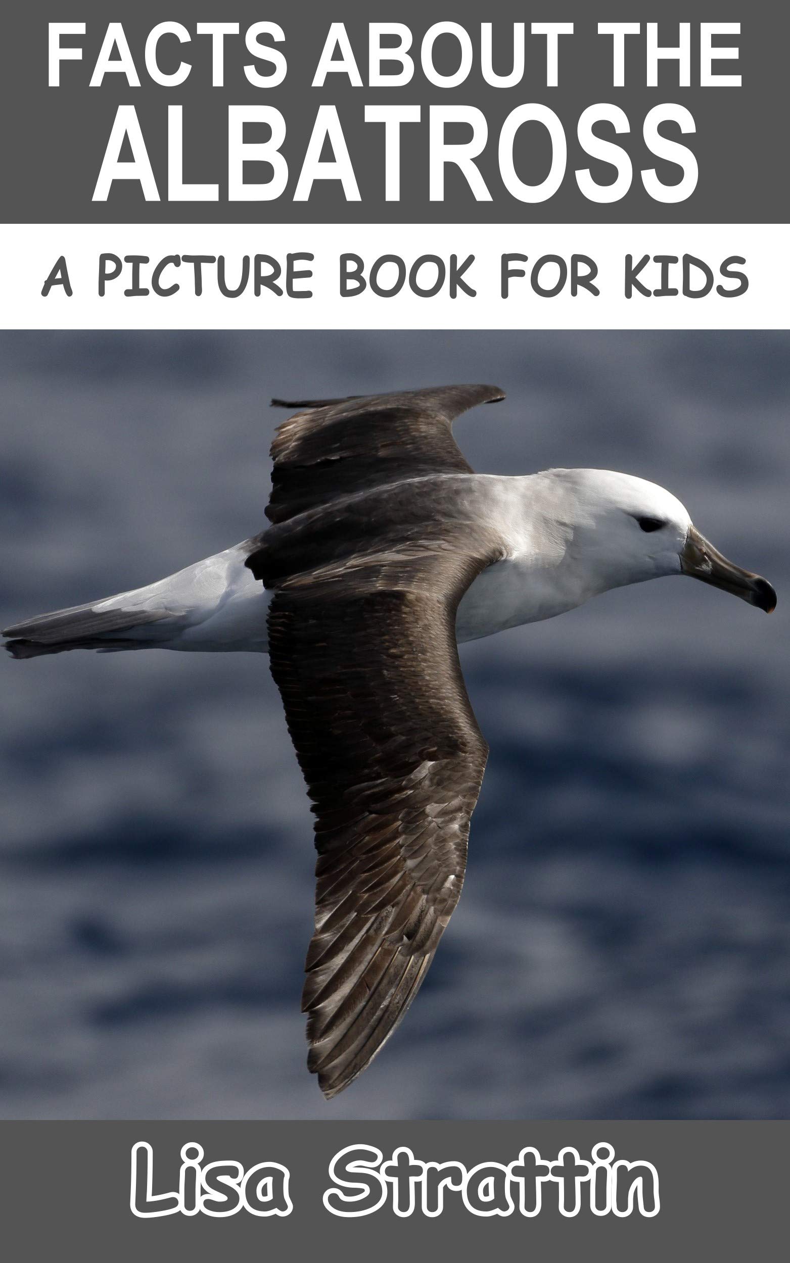 Facts About the Albatross by Lisa Strattin | Goodreads
