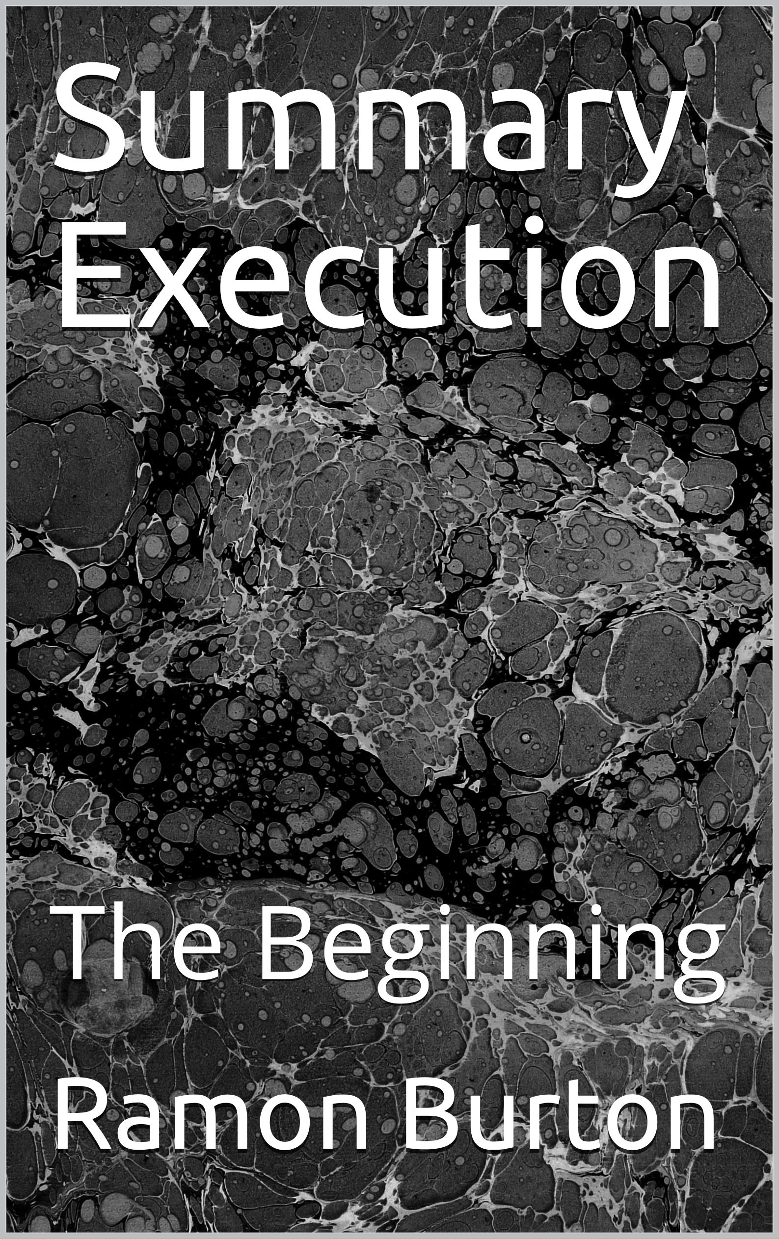 Summary Execution: Complete Story by Ramon Burton | Goodreads