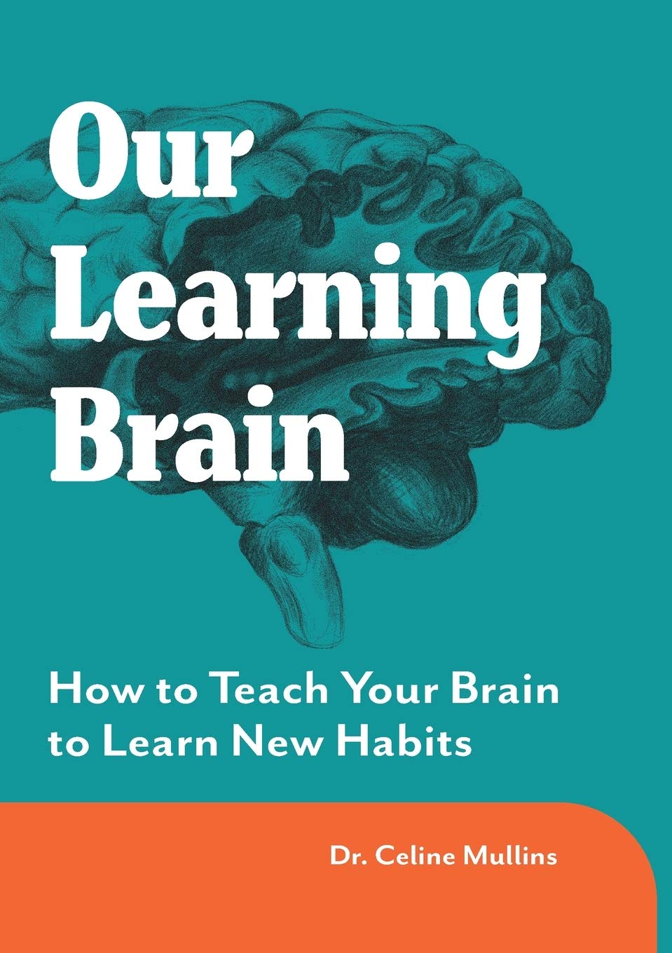 Our Learning Brain: How to Teach Your Brain to Learn New Habits by ...