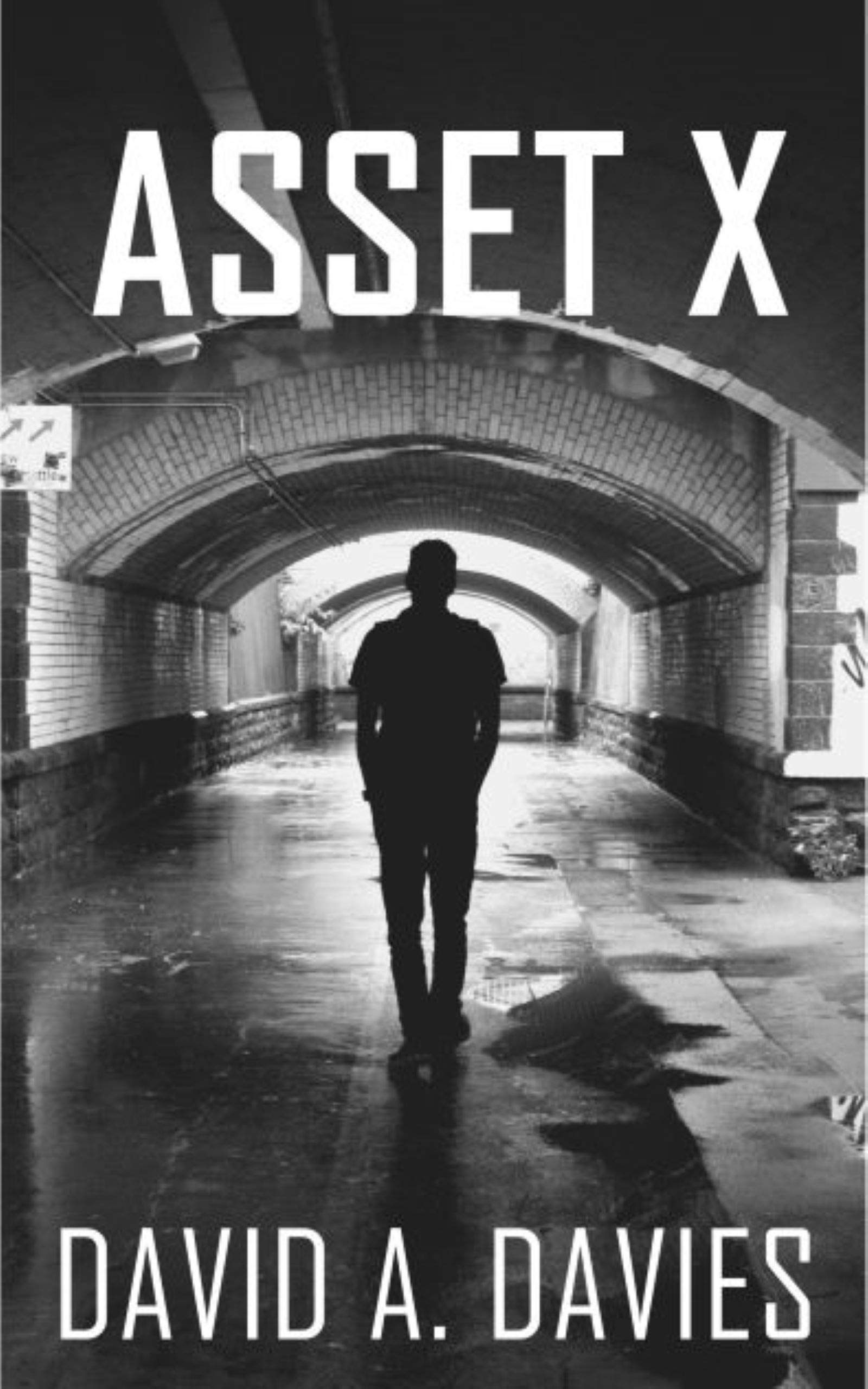 Asset X by David A. Davies | Goodreads