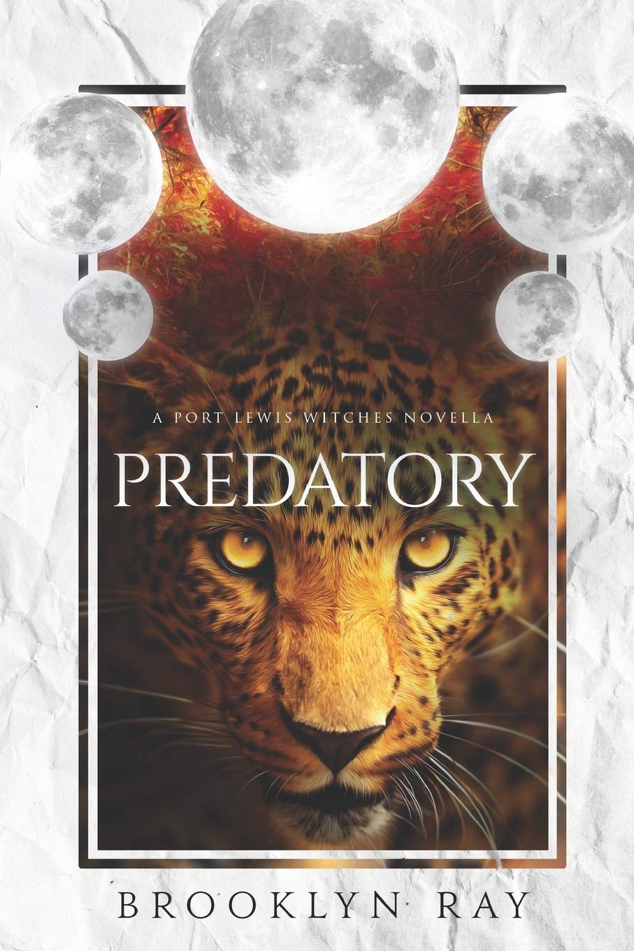 Predatory (The Port Lewis Witches) by Brooklyn Ray | Goodreads