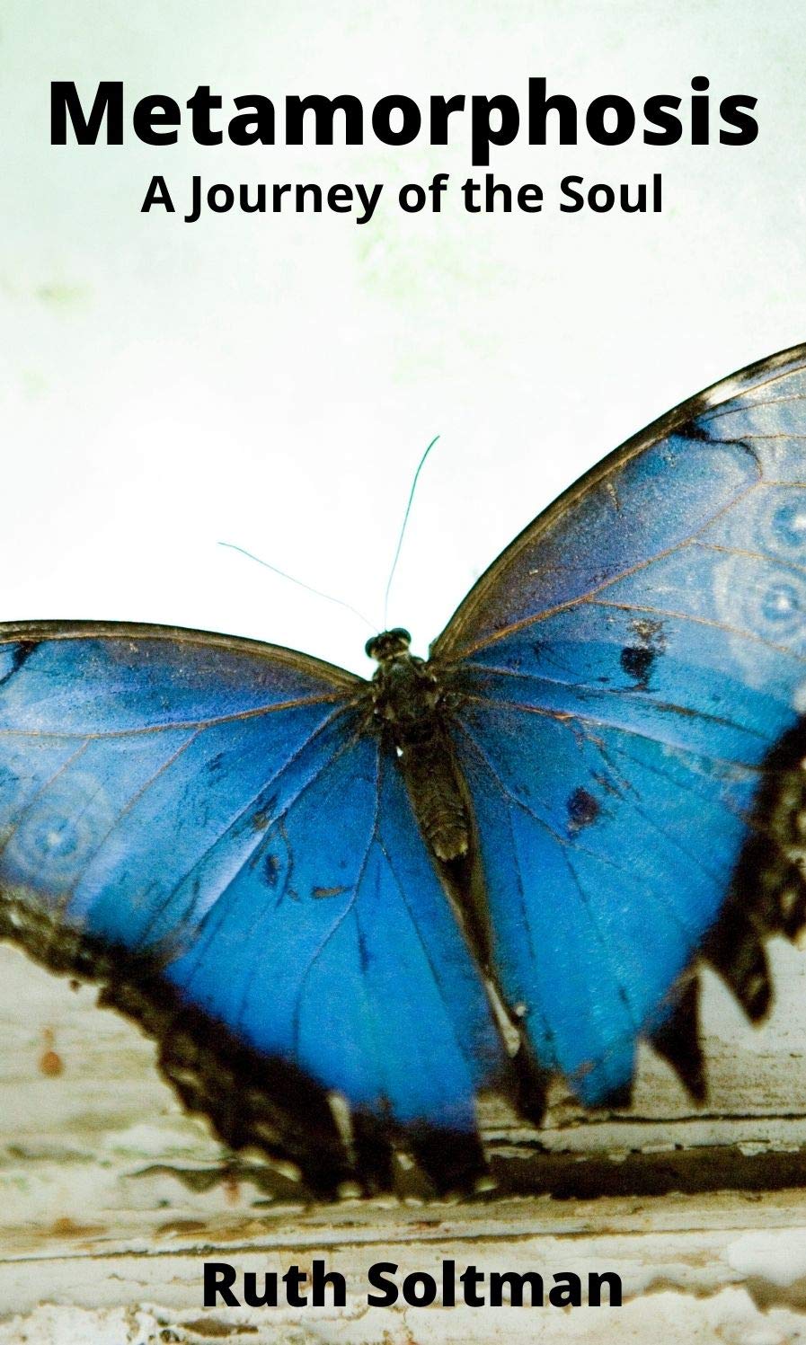 Metamorphosis: A Journey of the Soul by Ruth Soltman | Goodreads