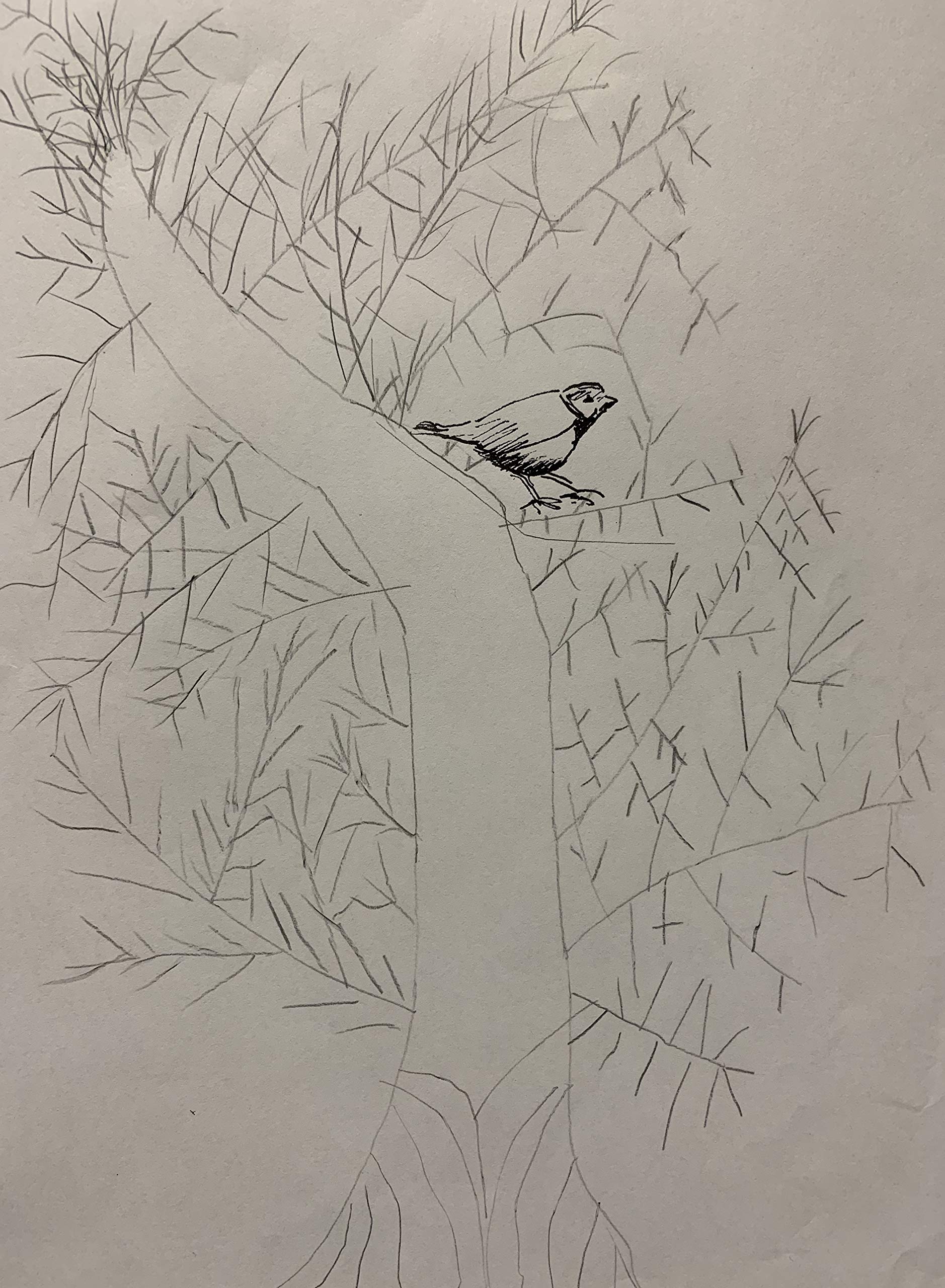 Happy haikus from a nine-year-old by Daniel Bimson | Goodreads