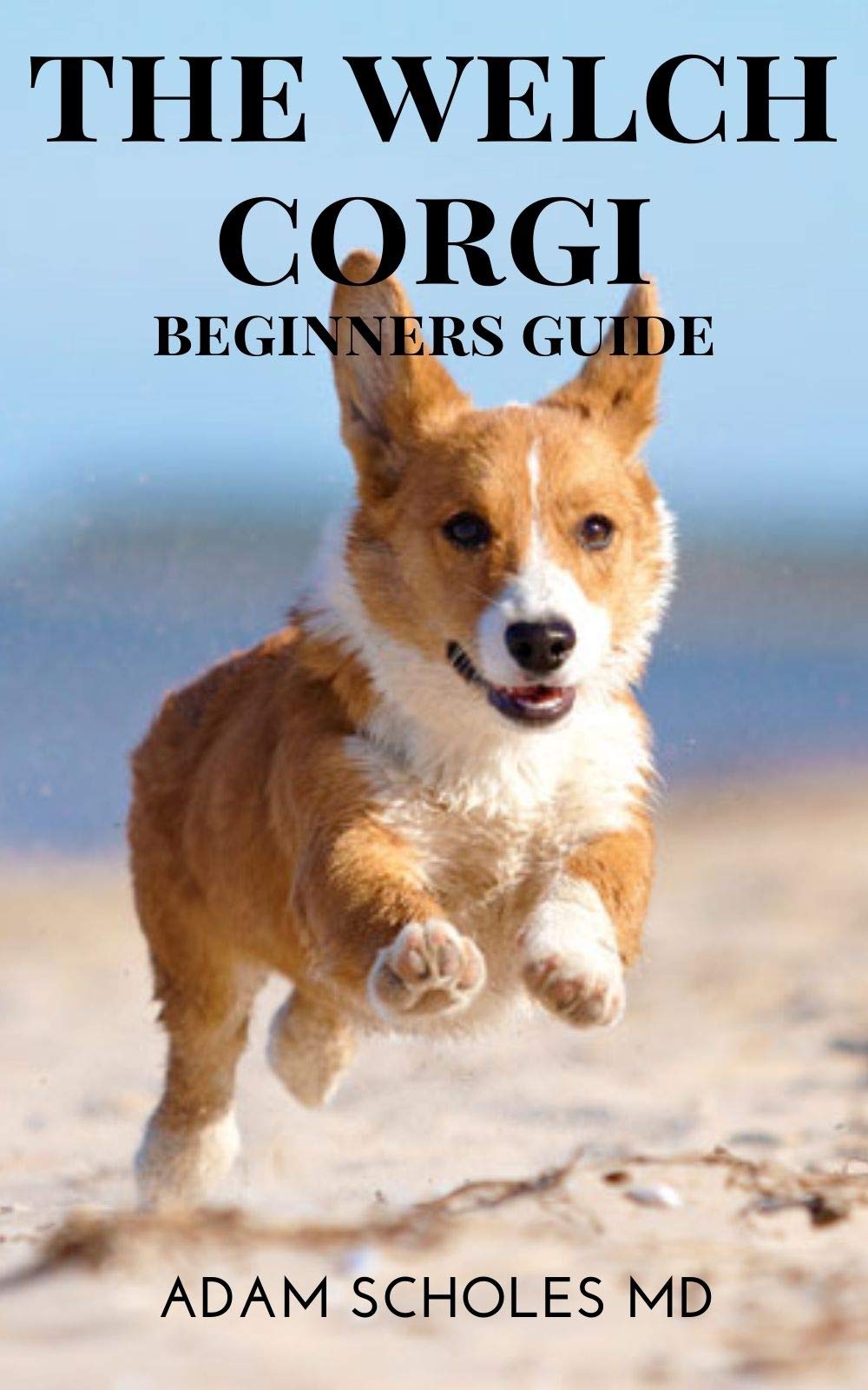 THE WELSH CORGIS: The Ultimate Guide To Pembroke Welsh Corgi And Cardigan Welsh Corgi Training ...