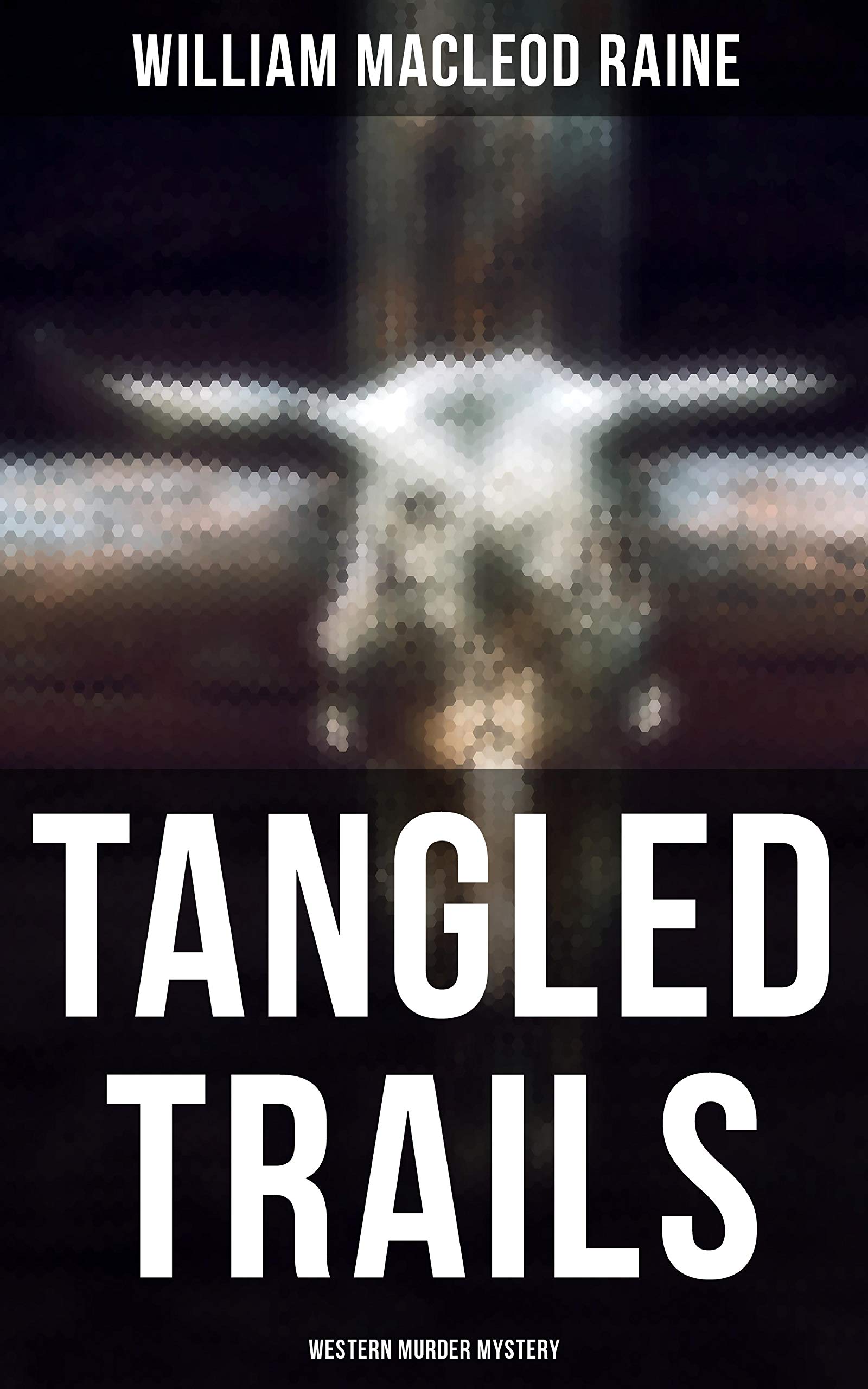 Tangled Trails (Western Murder Mystery) by William MacLeod Raine ...