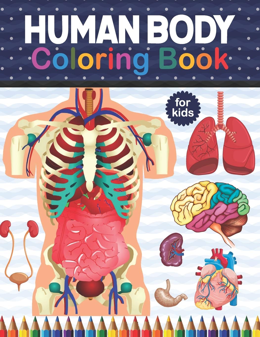 Human Body Coloring Book For Kids: My First Human Body Parts And Human ...