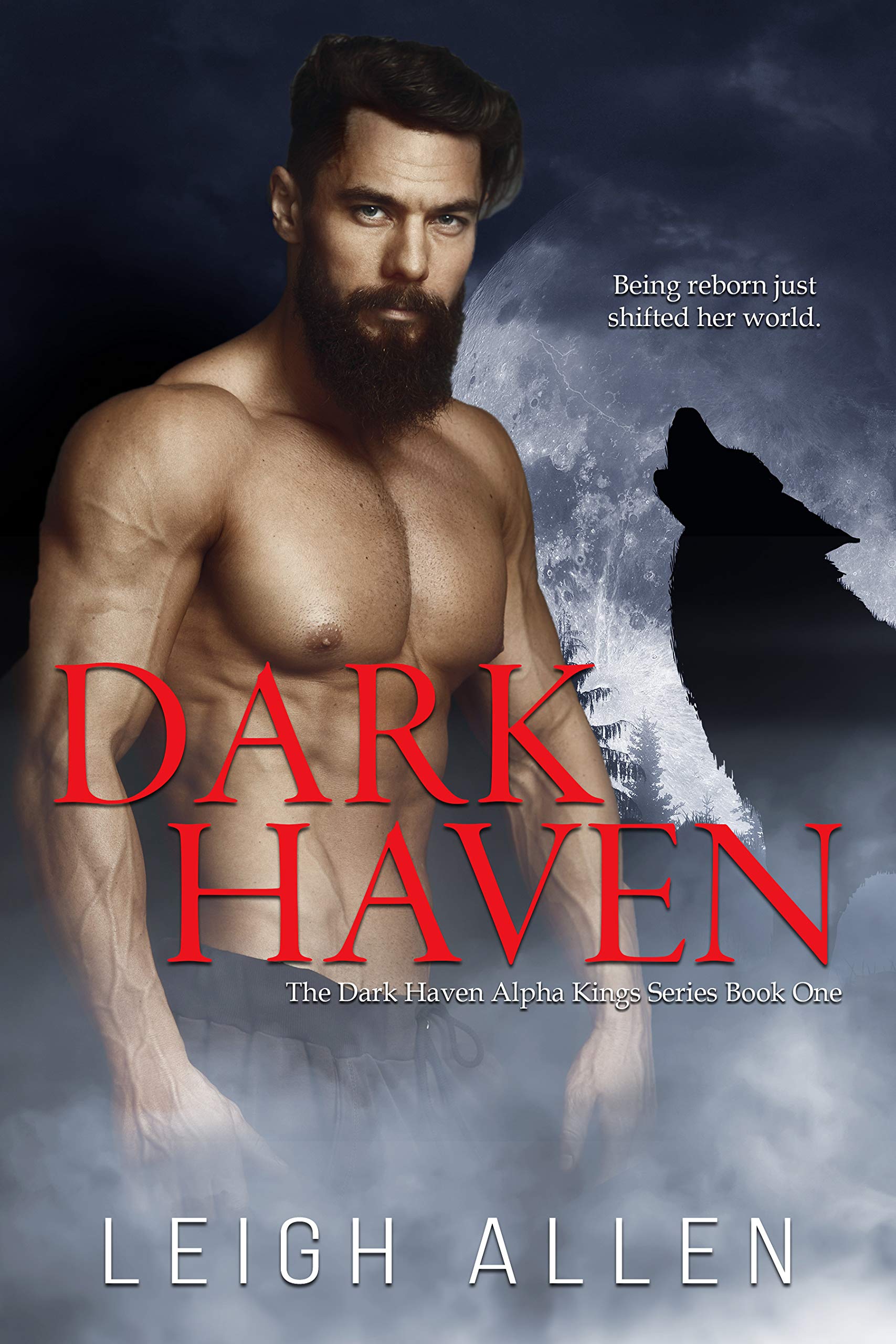 Dark Haven (The Dark Haven Alpha Kings Series Book 1) by Leigh Allen ...