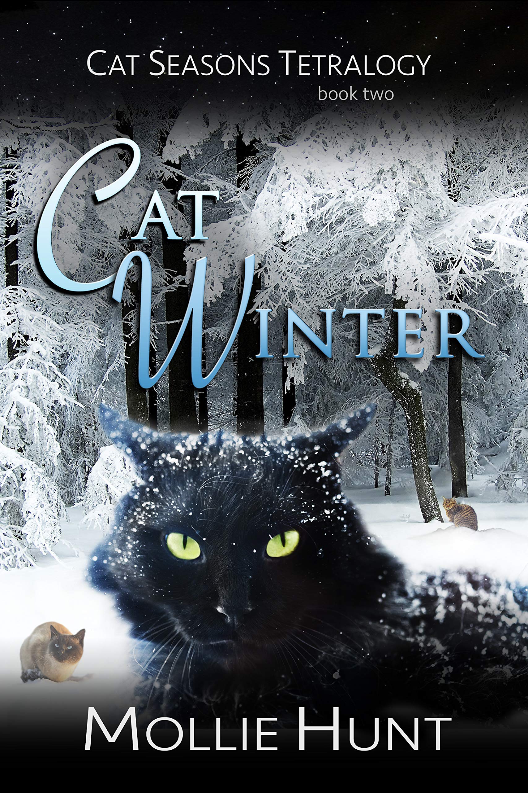 Cat Winter (The Cat Seasons Tetralogy) by Mollie Hunt | Goodreads
