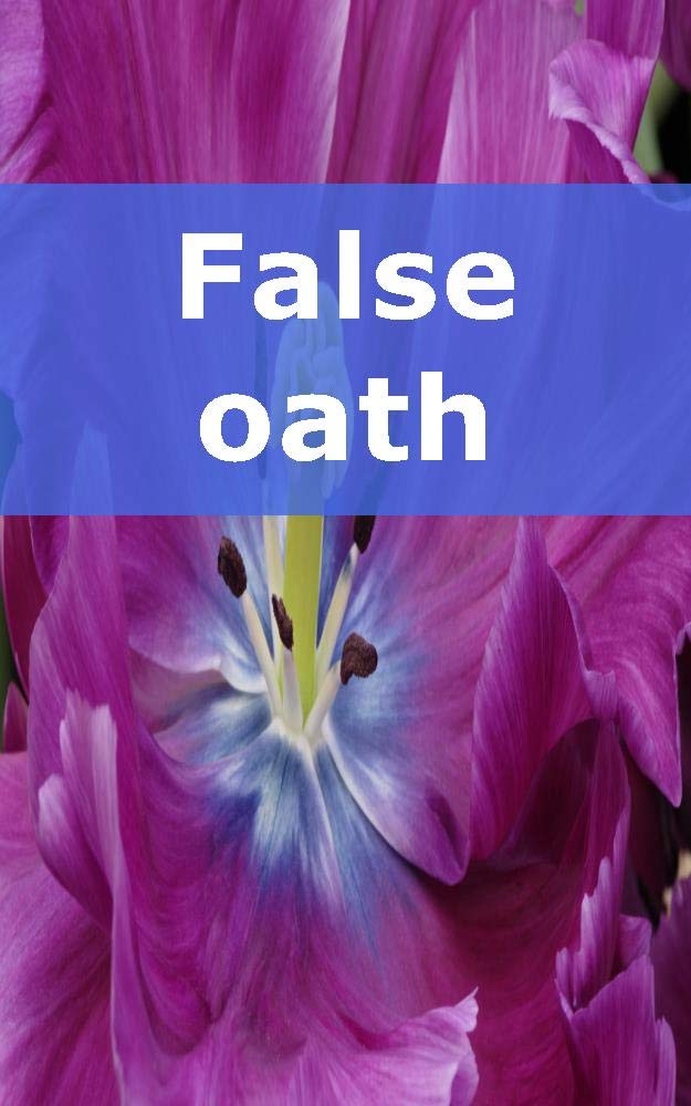 False oath (Luxembourgish Edition) by Cassie Helscher | Goodreads