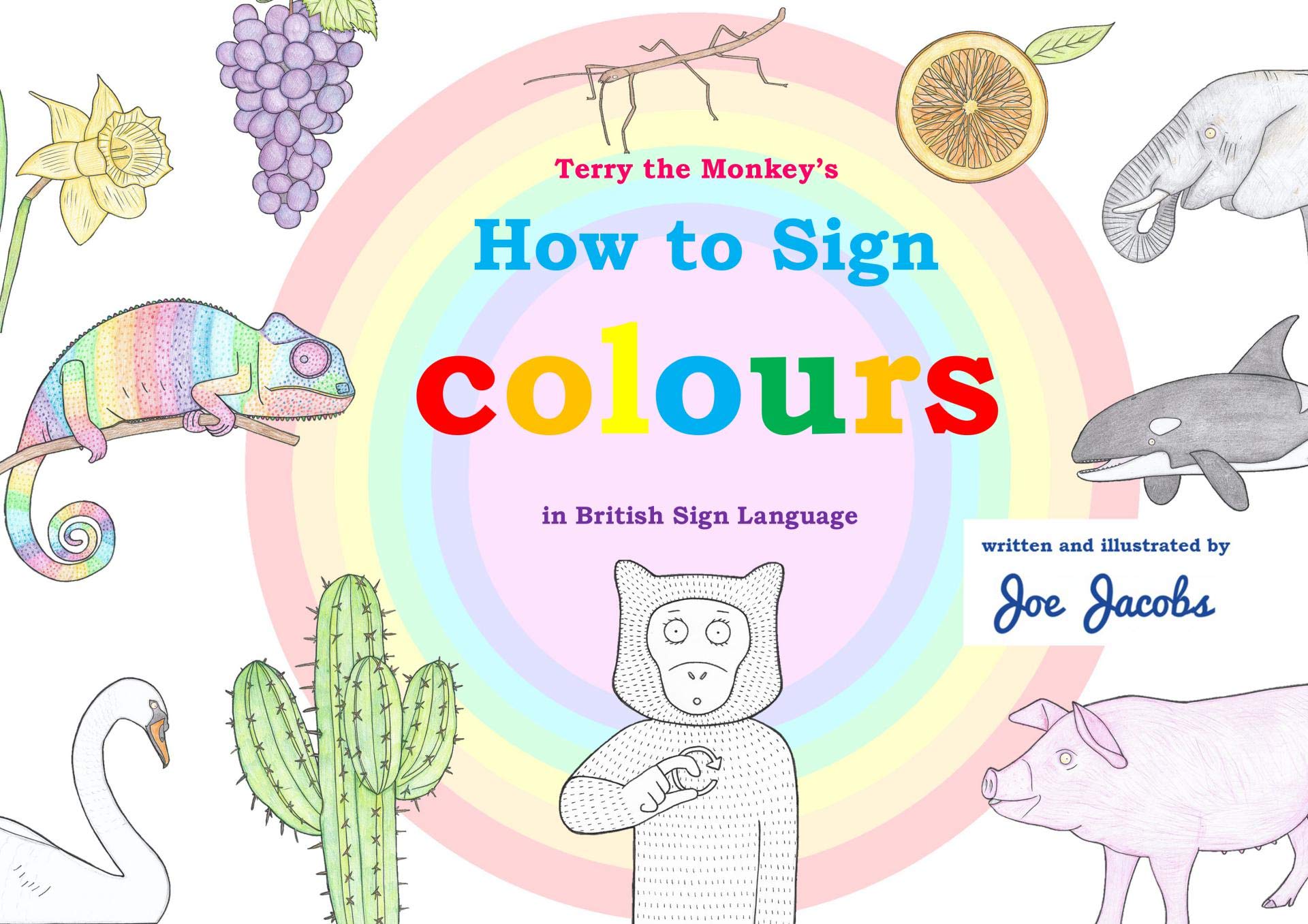 Terry the Monkey's How to Sign colours in British Sign Language by Joe ...