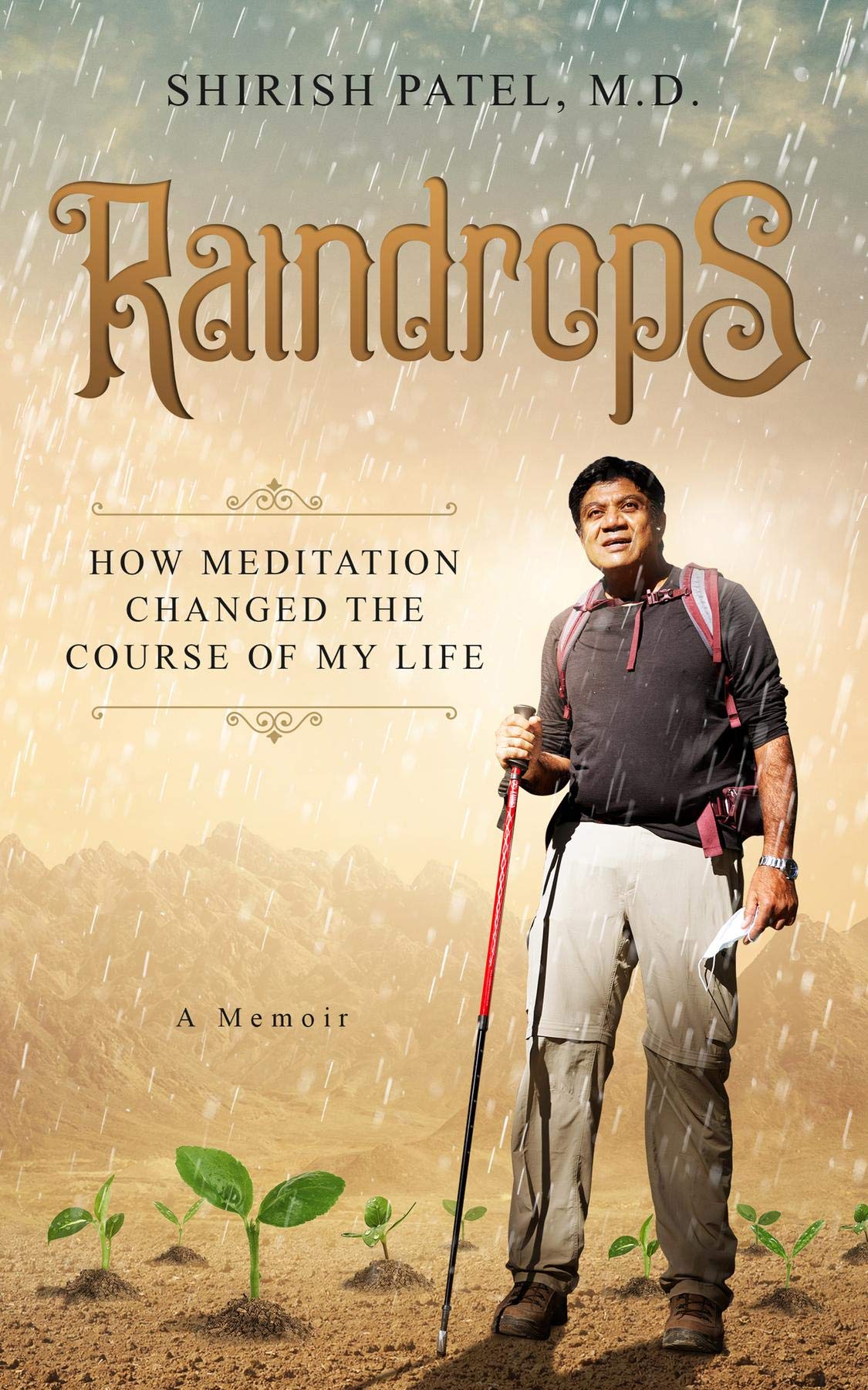 Raindrops: How Meditation Changed the Course of My Life by Shirish ...