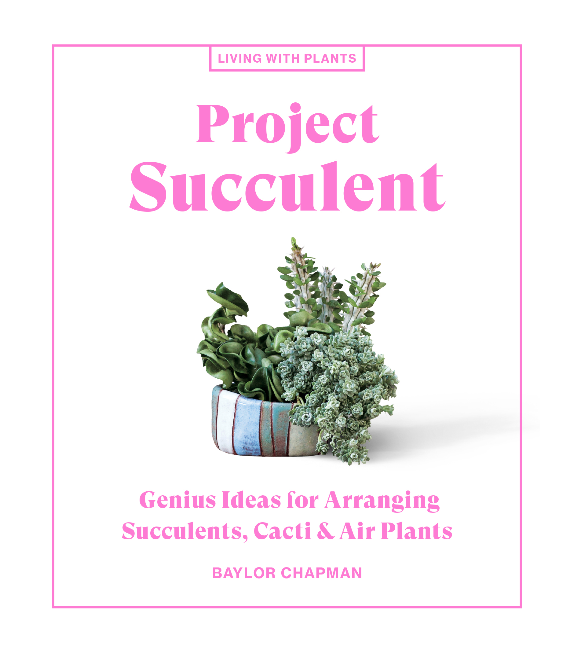 Project Succulent: Genius Ideas for Arranging Succulents, Cacti & Air ...