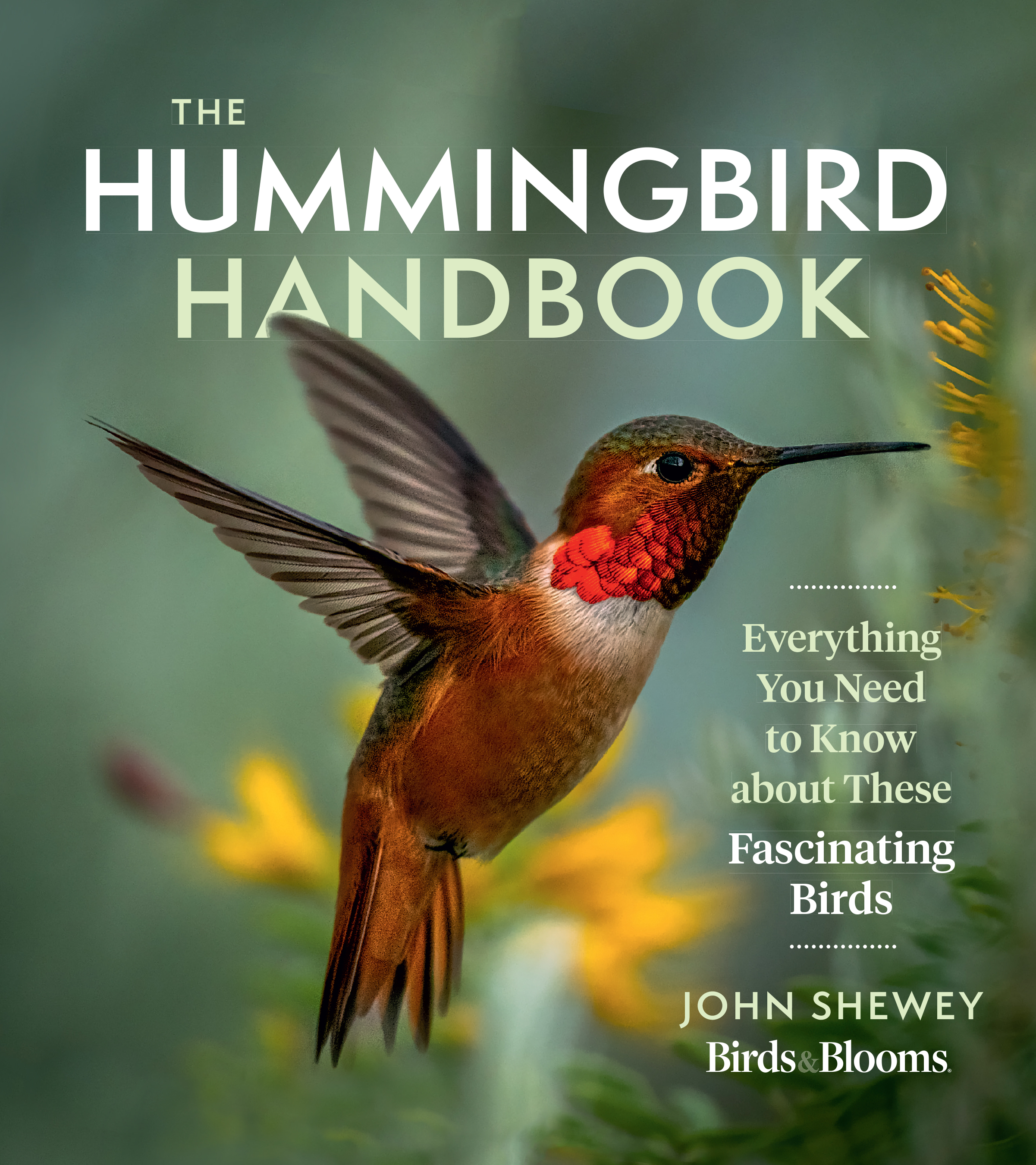 The Hummingbird Handbook: Everything You Need to Know about These ...