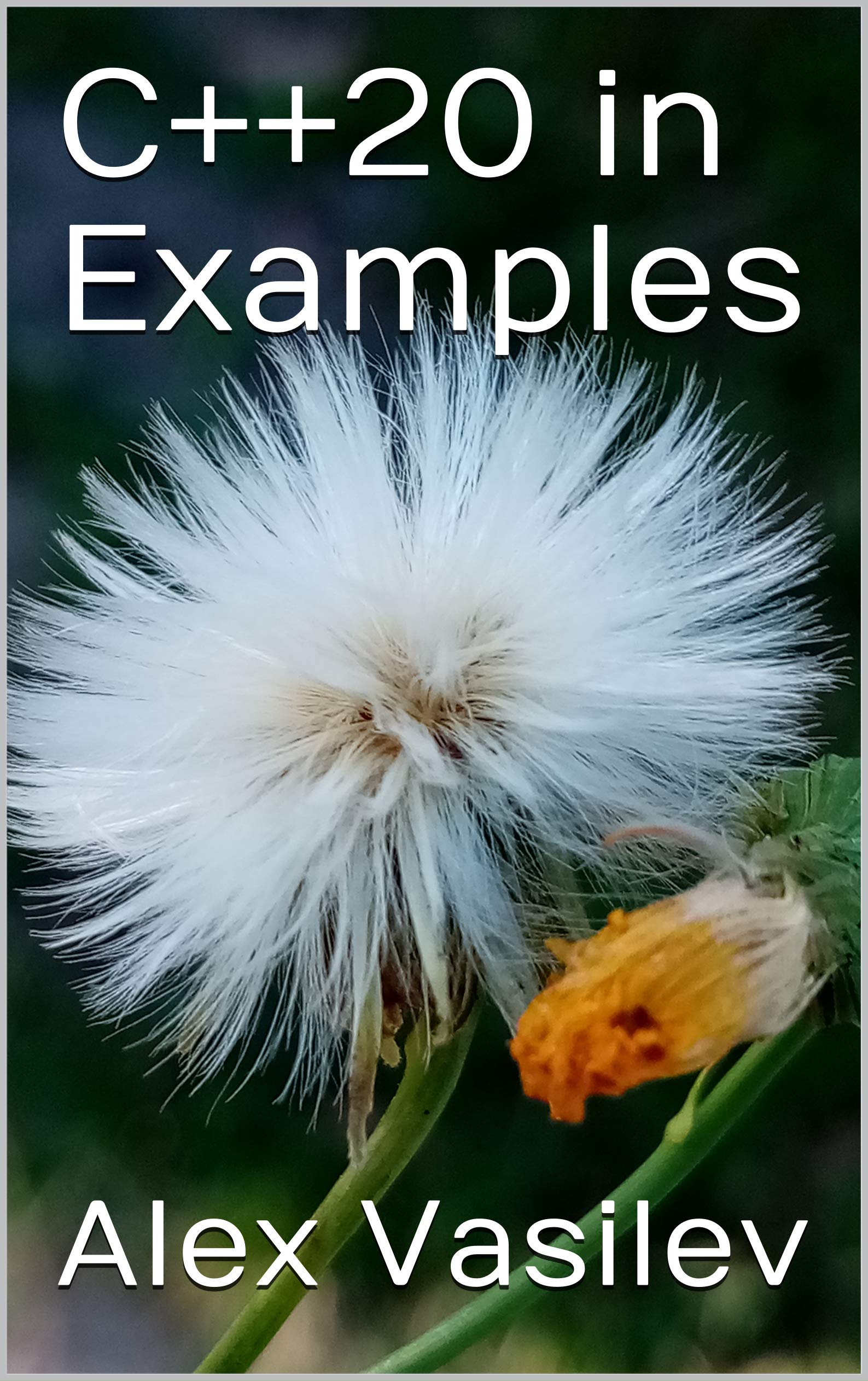 C++20 in Examples by Alex Vasilev | Goodreads