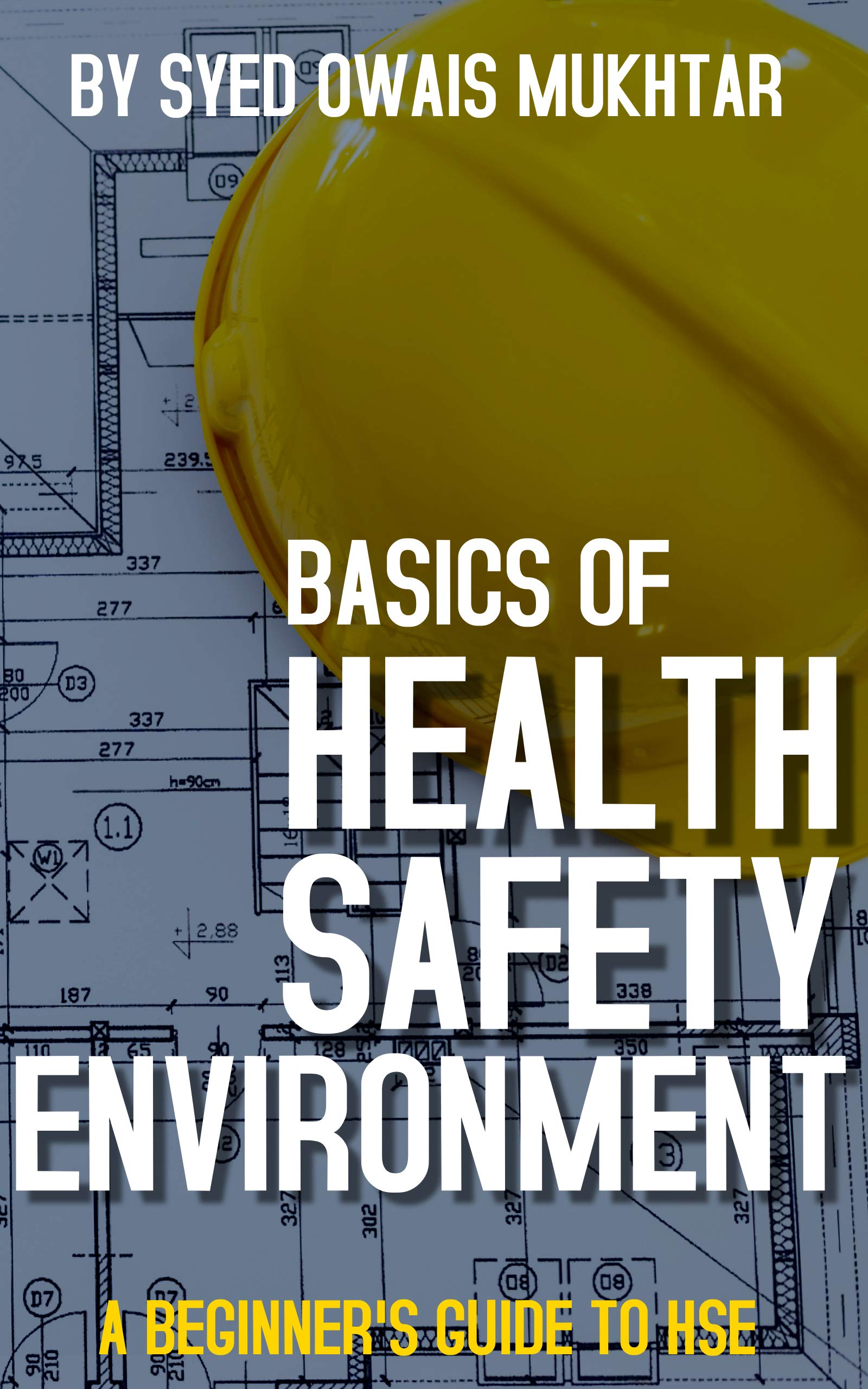 Basics Of Health, Safety & Environment: A Beginner's Guide to HSE by ...