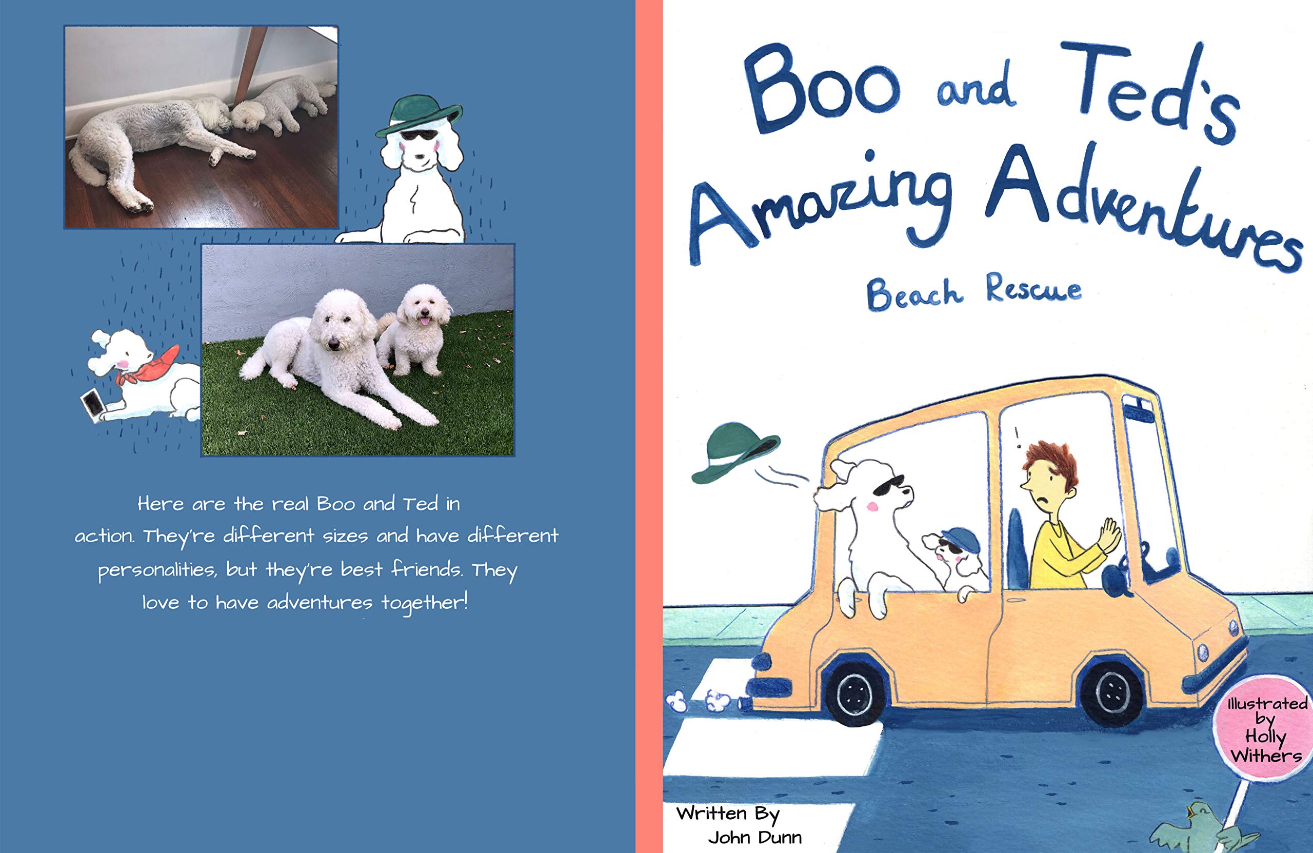 Boo and Ted's Amazing Adventures : Beach Rescue by John Dunn | Goodreads