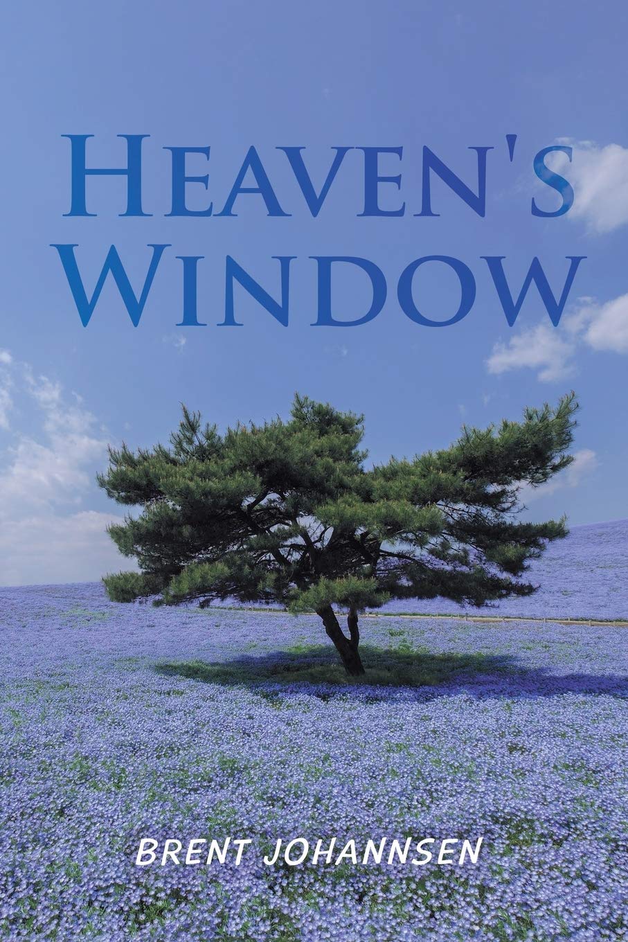 Heaven's Window by Brent Johannsen | Goodreads