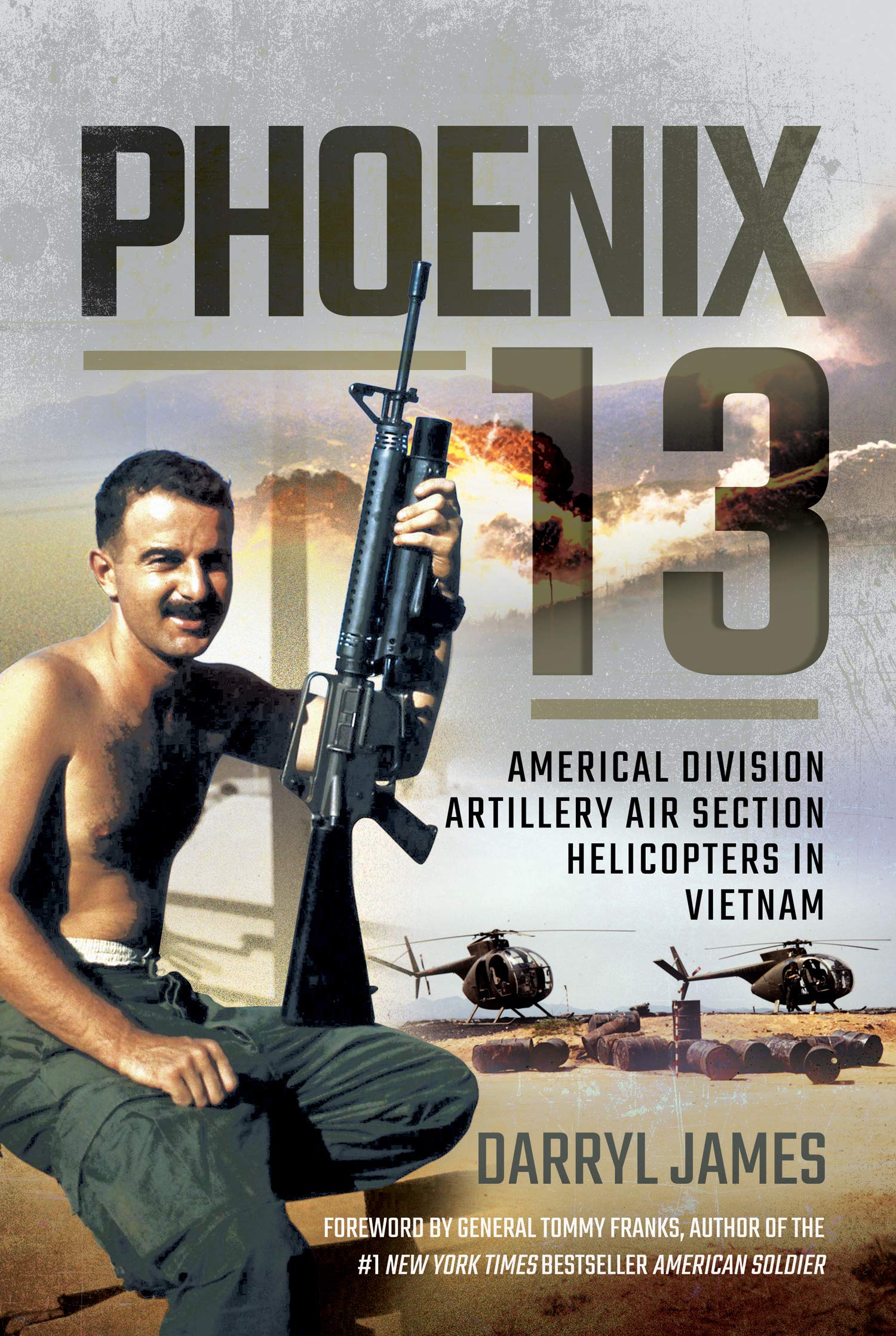 Phoenix 13: Americal Division Artillery Air Section Helicopters in ...