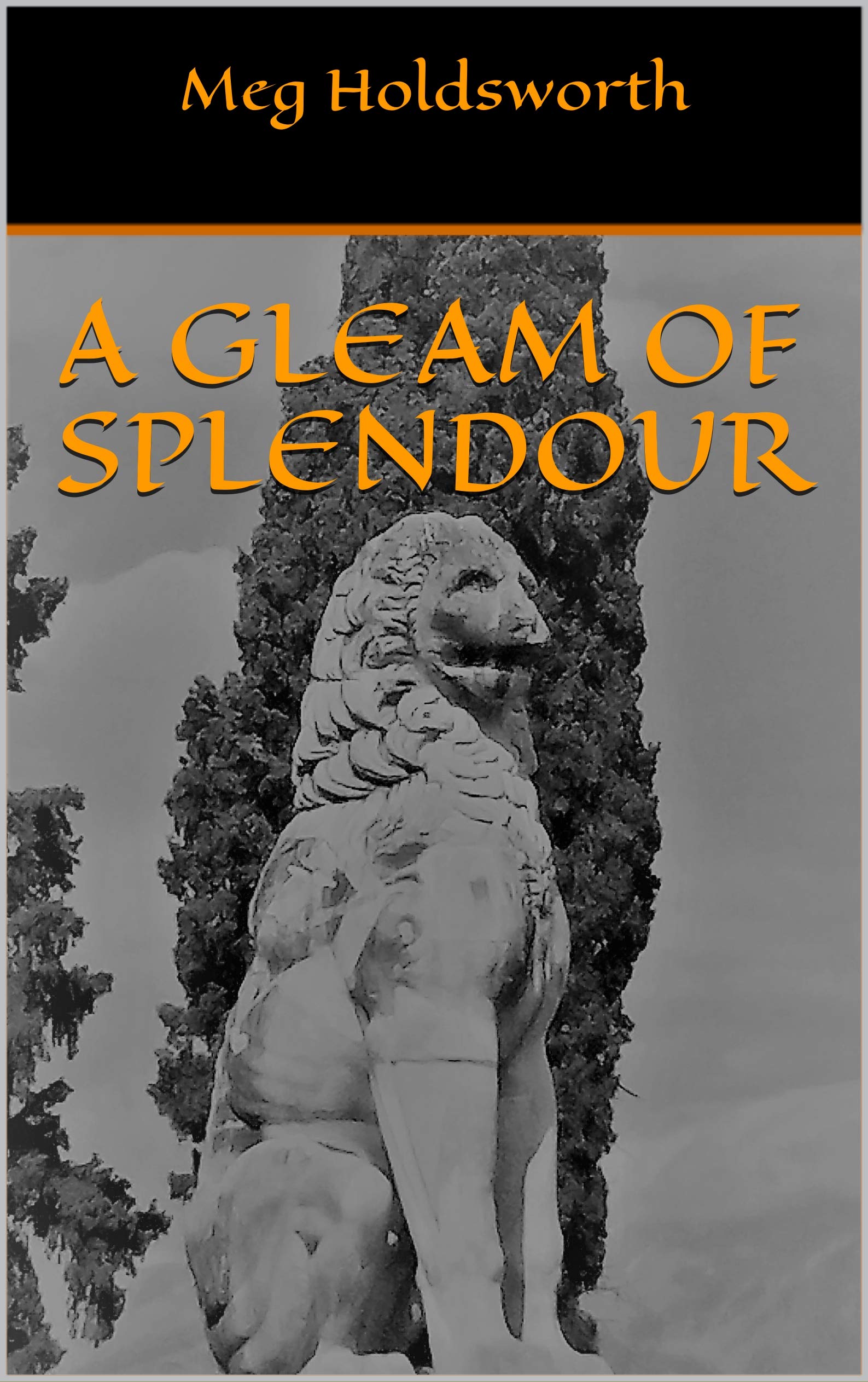 A Gleam of Splendour by Meg Holdsworth | Goodreads