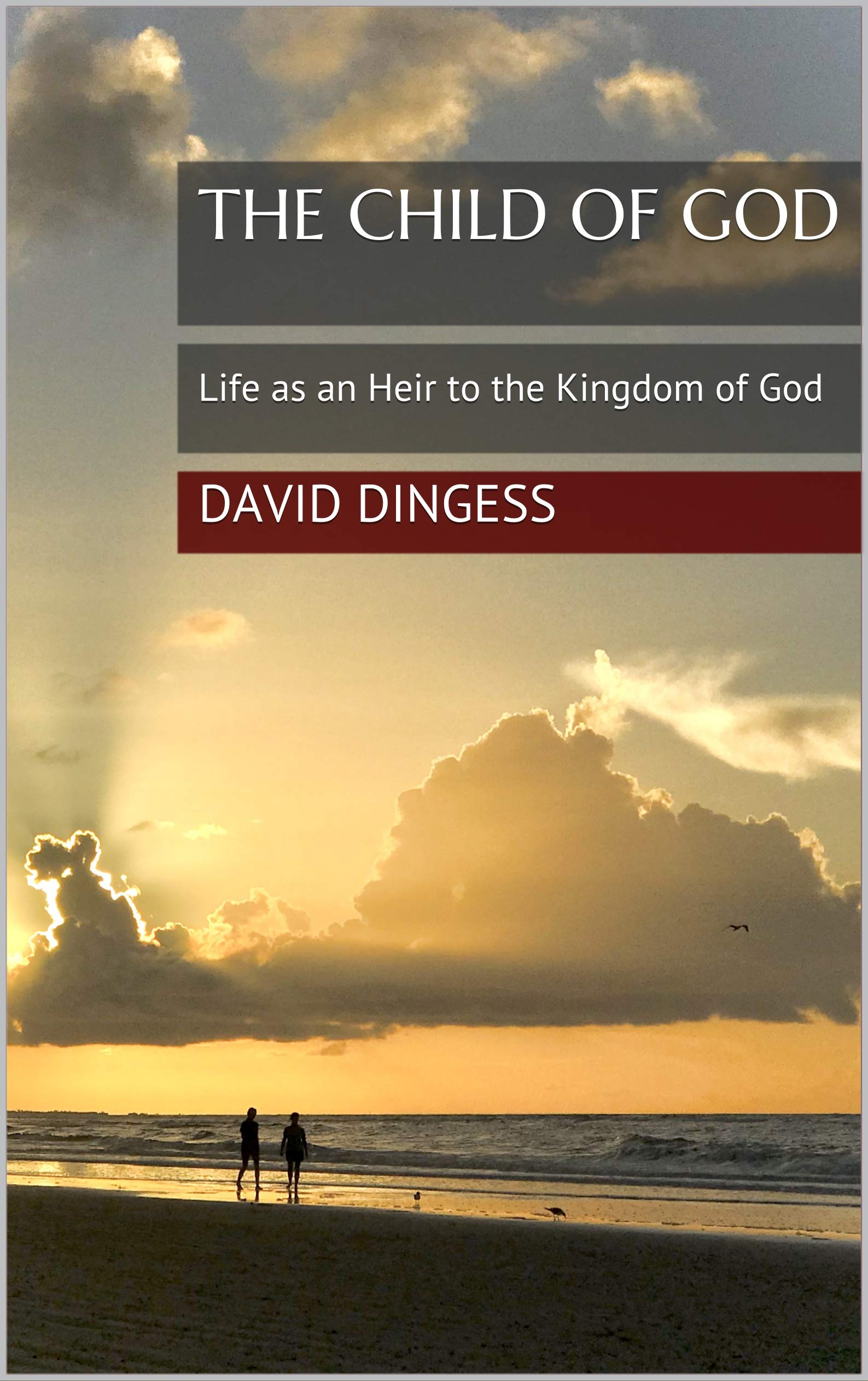 The Child of God: Life as an Heir to the Kingdom of Heaven by David ...